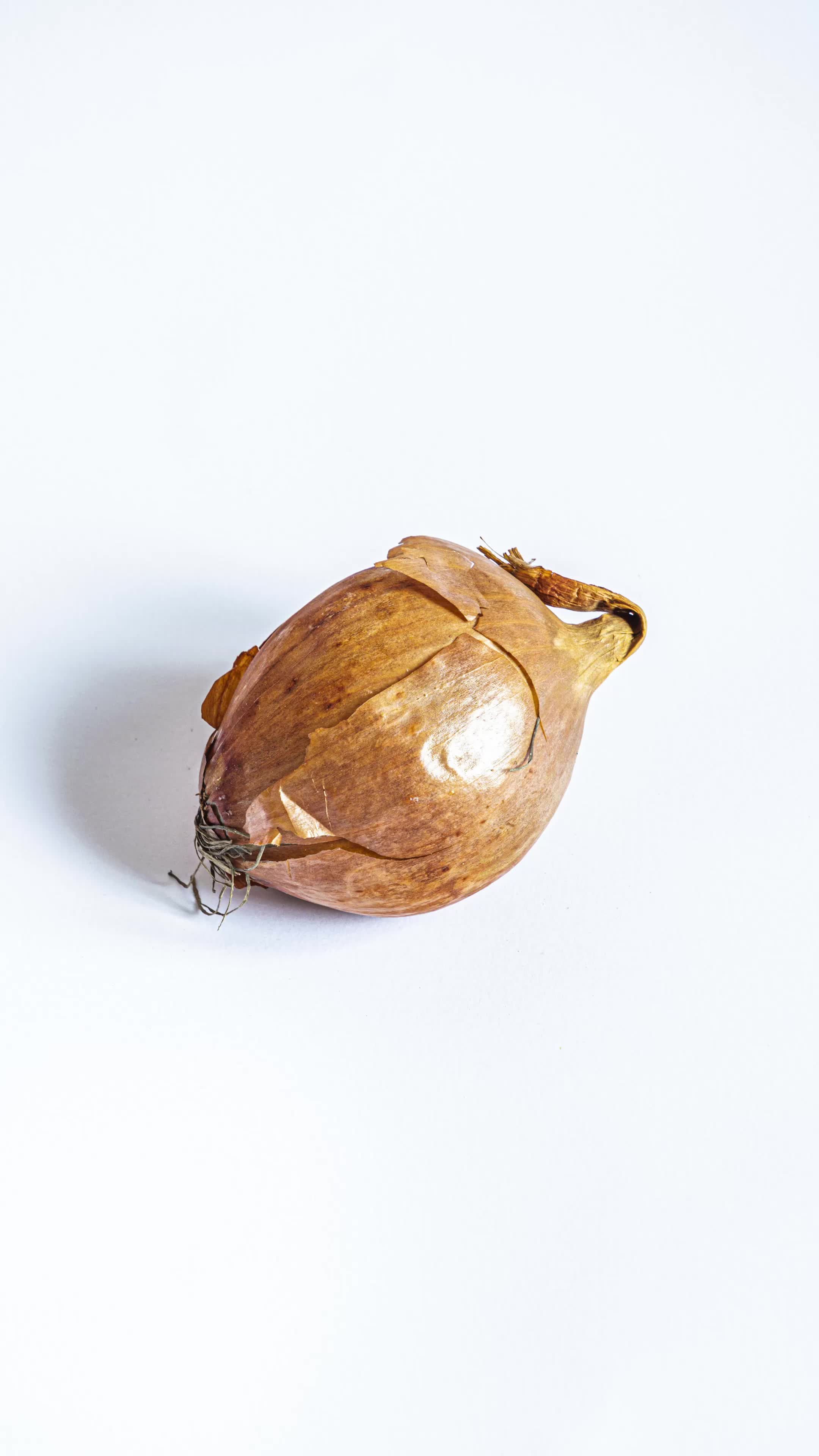 Close-Up of an Onion on White Background Free Stock Video Footage ...