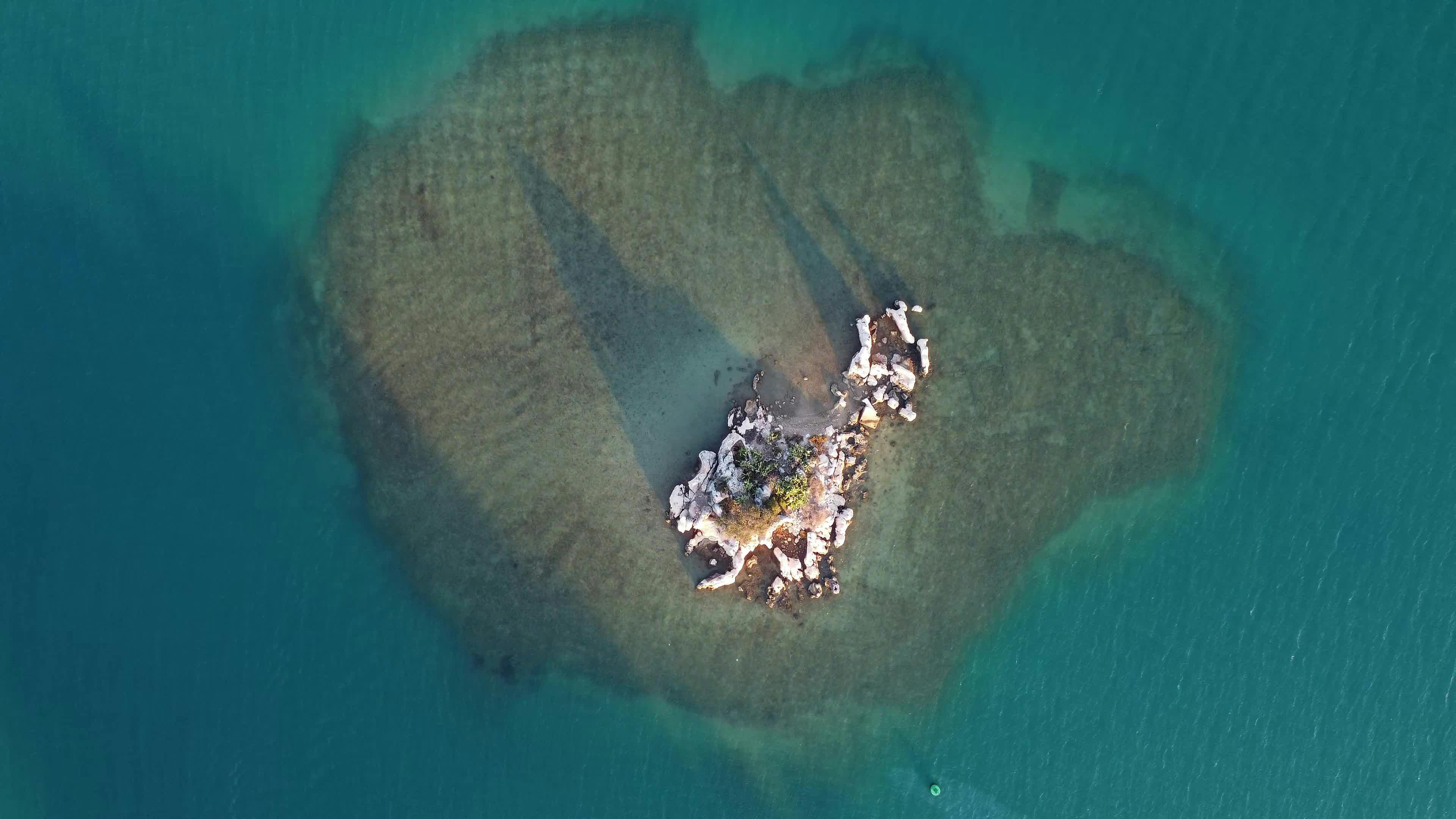 Small Muscle Videos, Download The BEST Free 4k Stock Video Footage ...