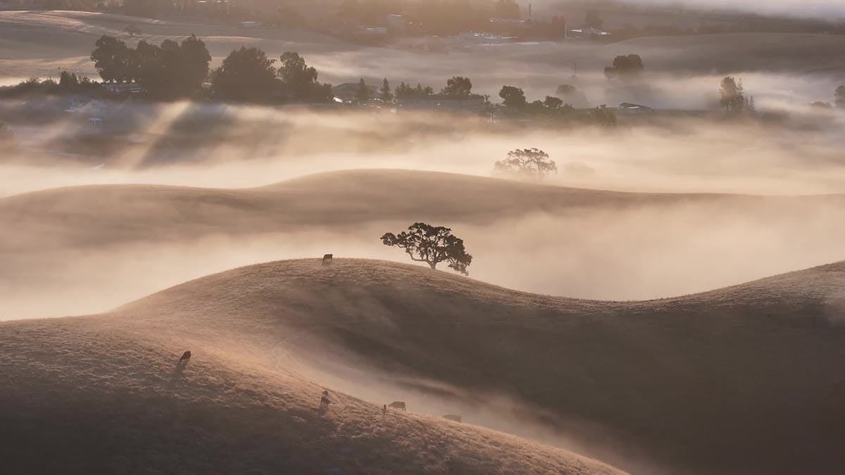 Cinematic Potrait Videos, Download The BEST Free 4k Stock Video Footage ...