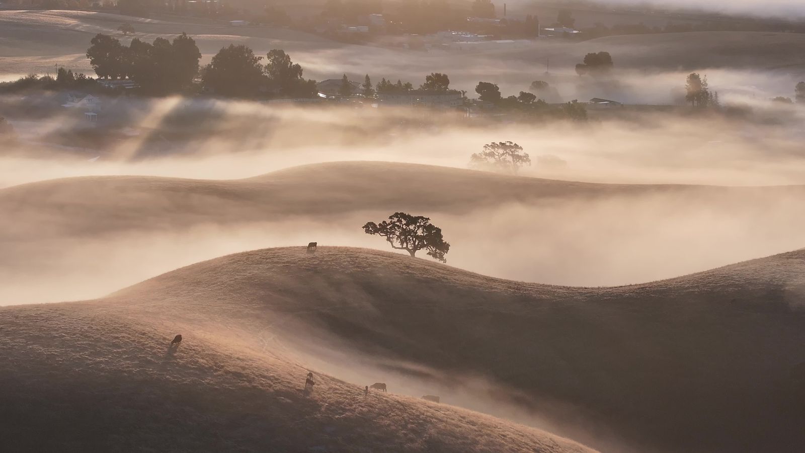 Cinematic Nature Videos, Download The BEST Free 4k Stock Video Footage ...