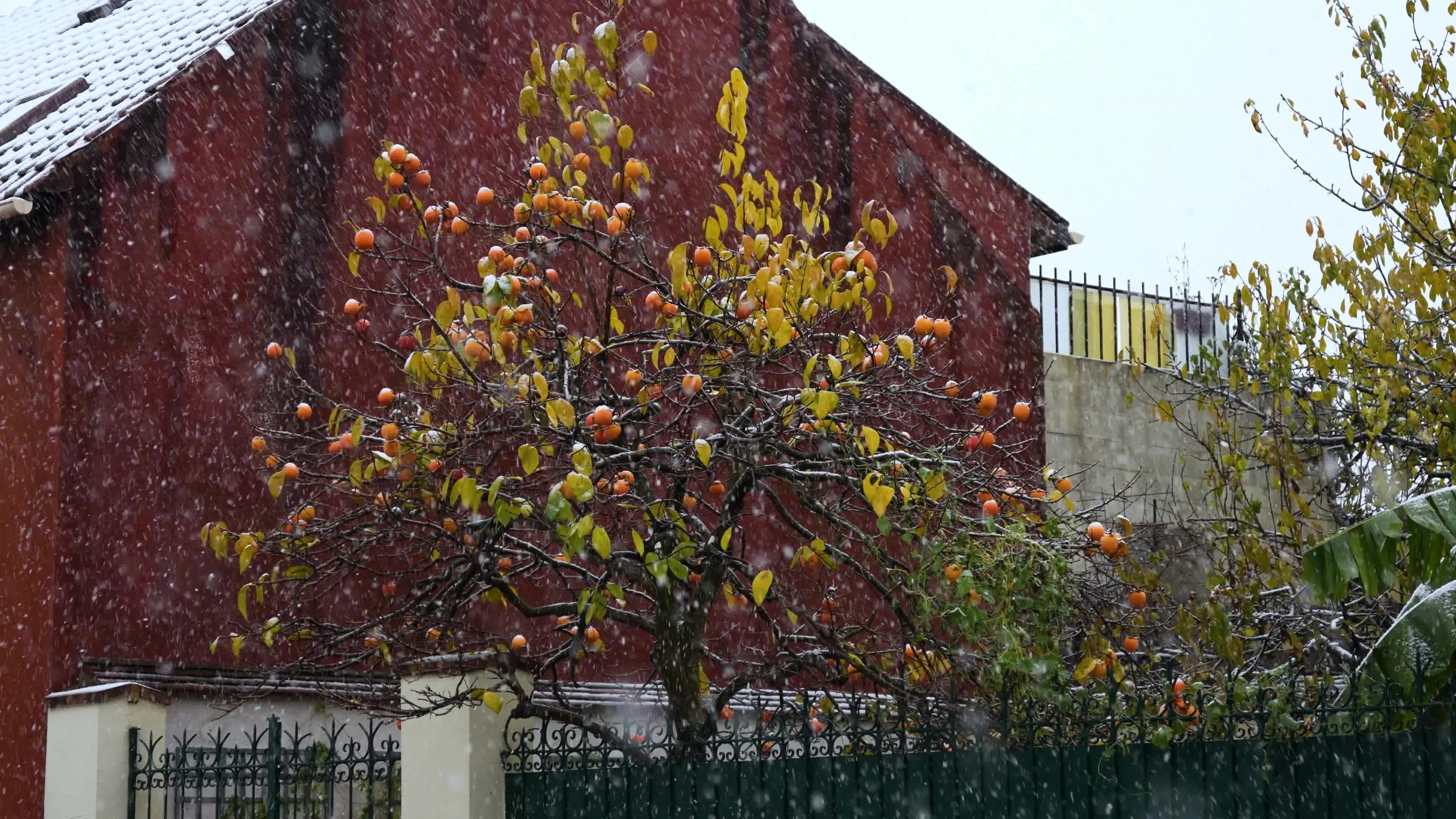 Detection De Temperature Videos, Download The BEST Free 4k Stock Video ...