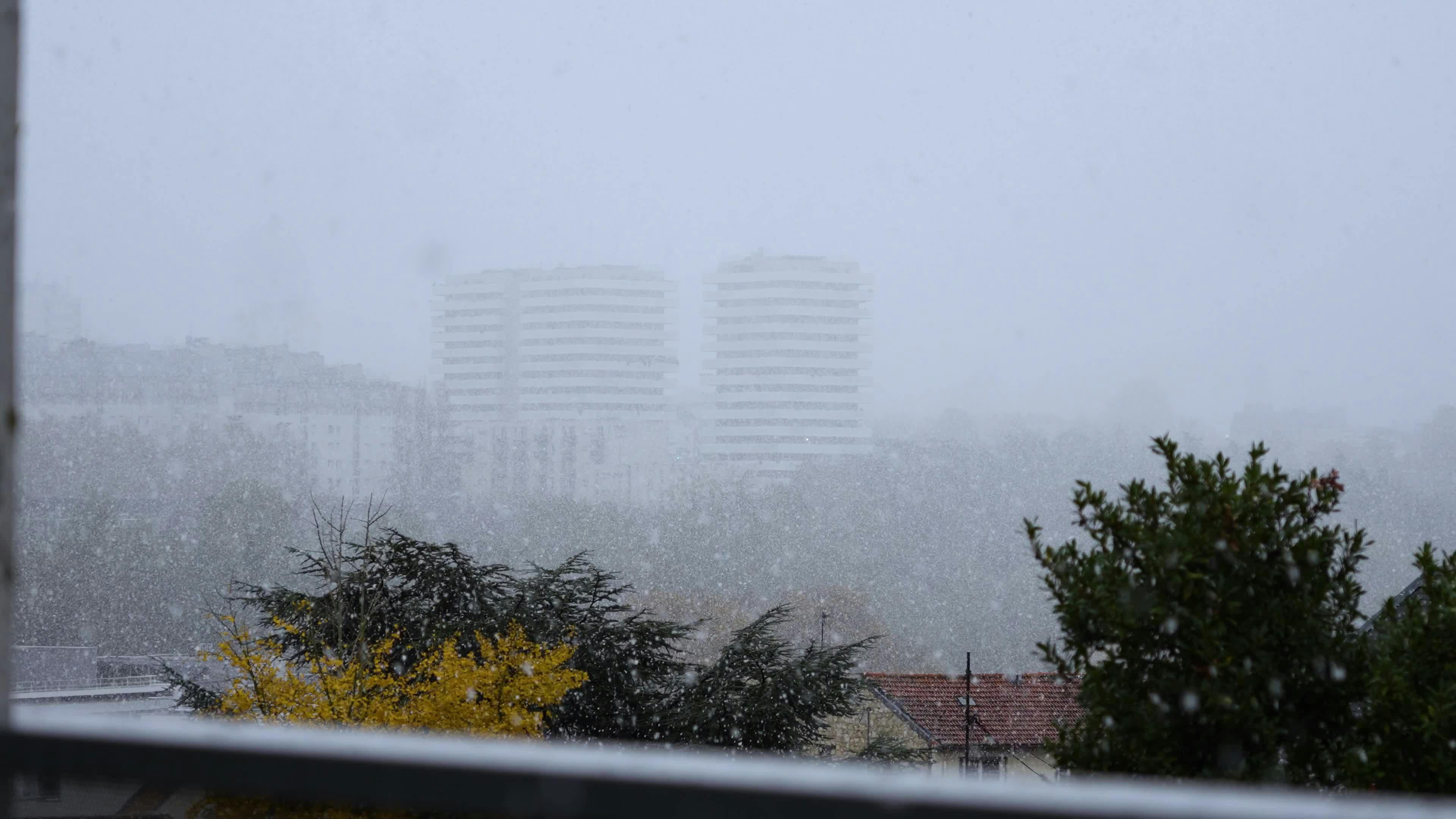 Deuses Proprio Paris Videos, Download The BEST Free 4k Stock Video ...