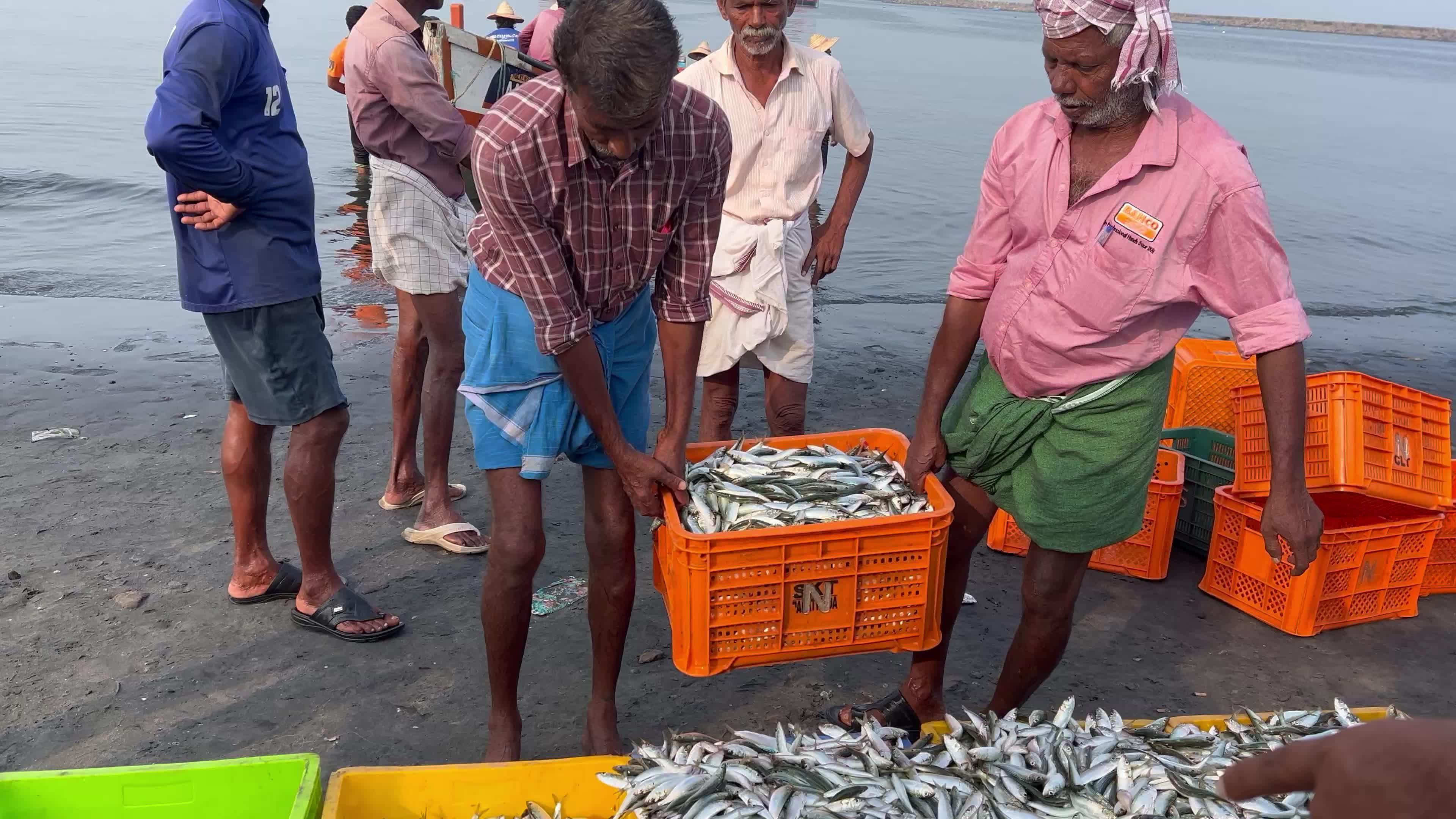 Fishermen Loading Fresh Catch on Beach Free Stock Video Footage ...