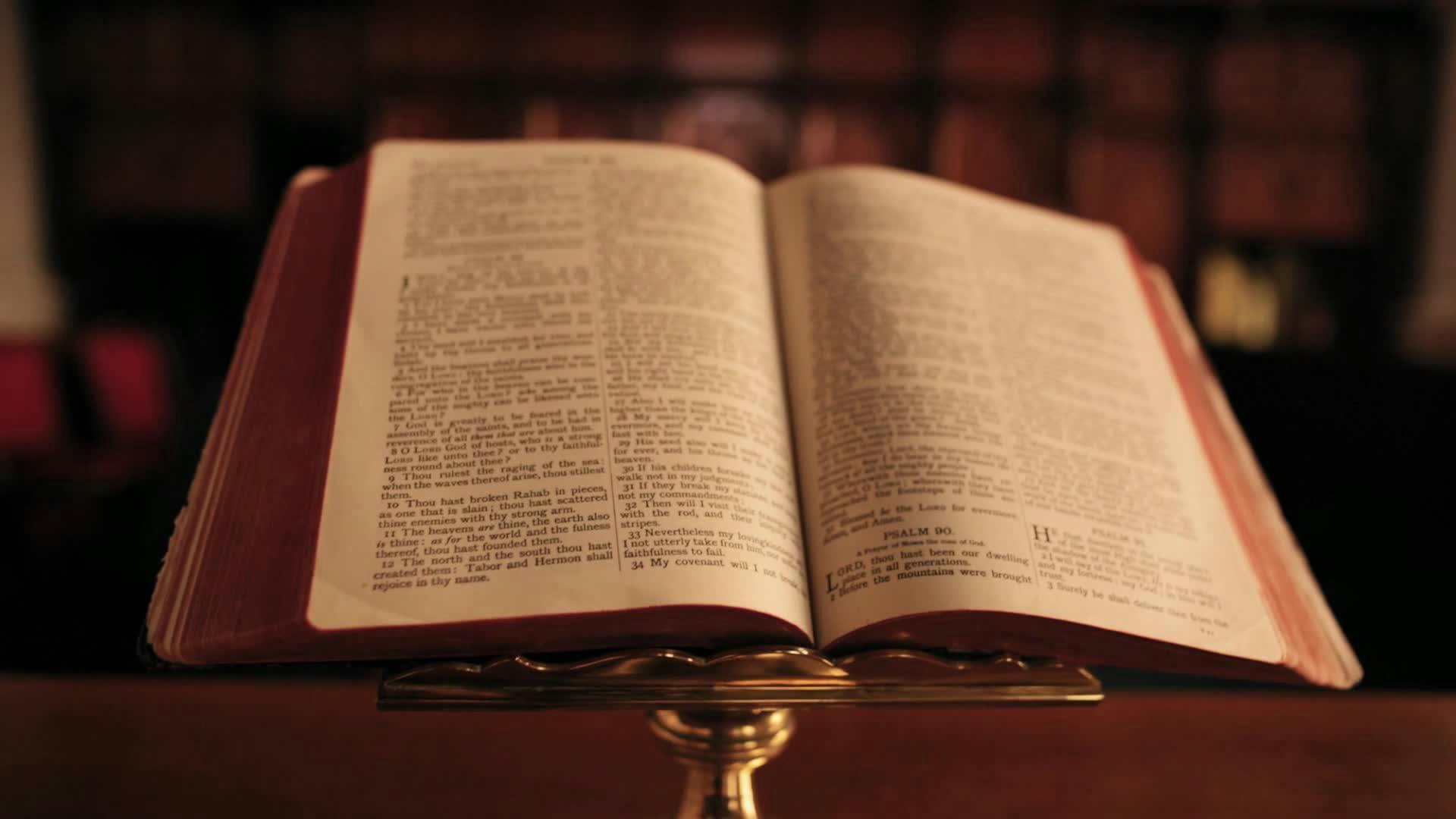 Open Book In A Library Videos, Download The BEST Free 4k Stock Video ...