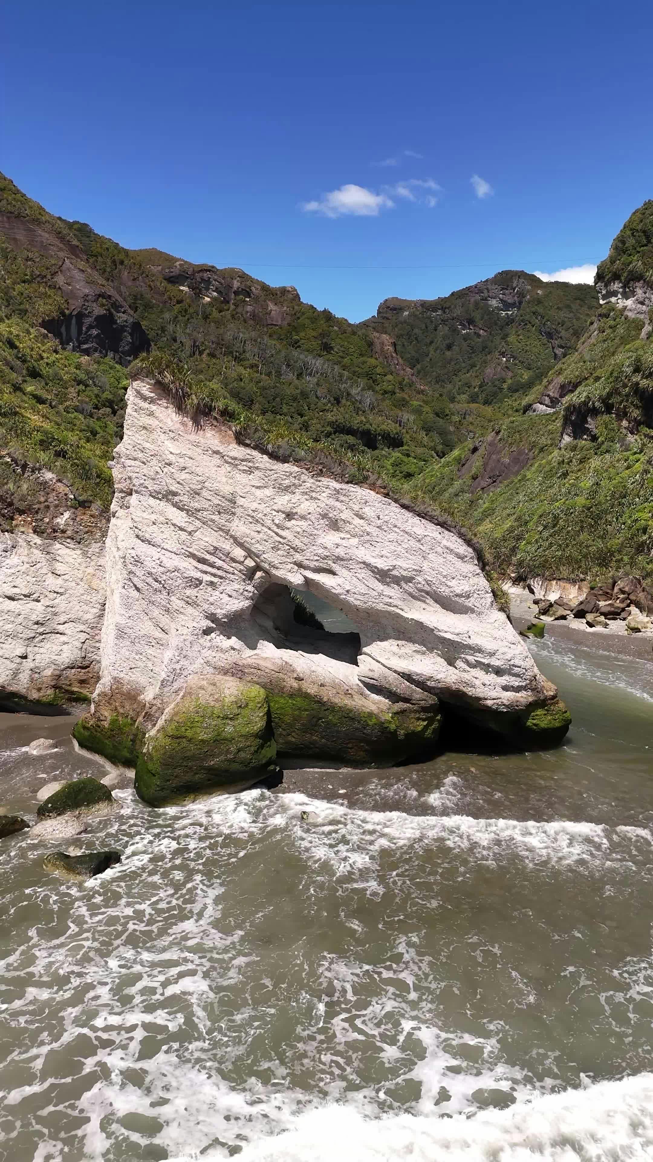 Laporan Clean Videos, Download The BEST Free 4k Stock Video Footage ...