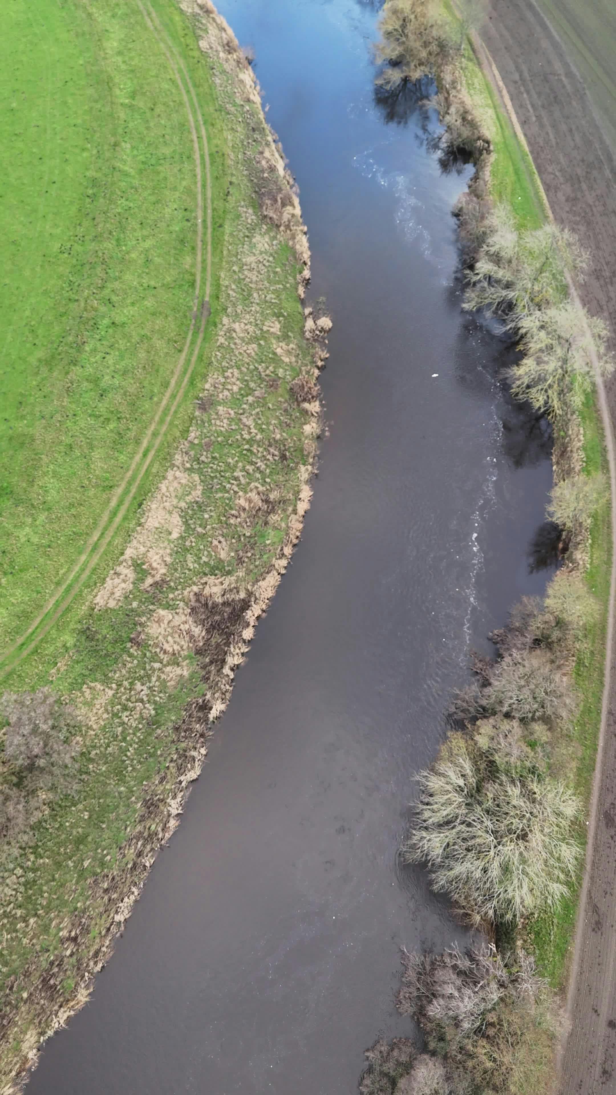 Grass Flow Videos, Download The BEST Free 4k Stock Video Footage & Grass Flow HD Video Clips