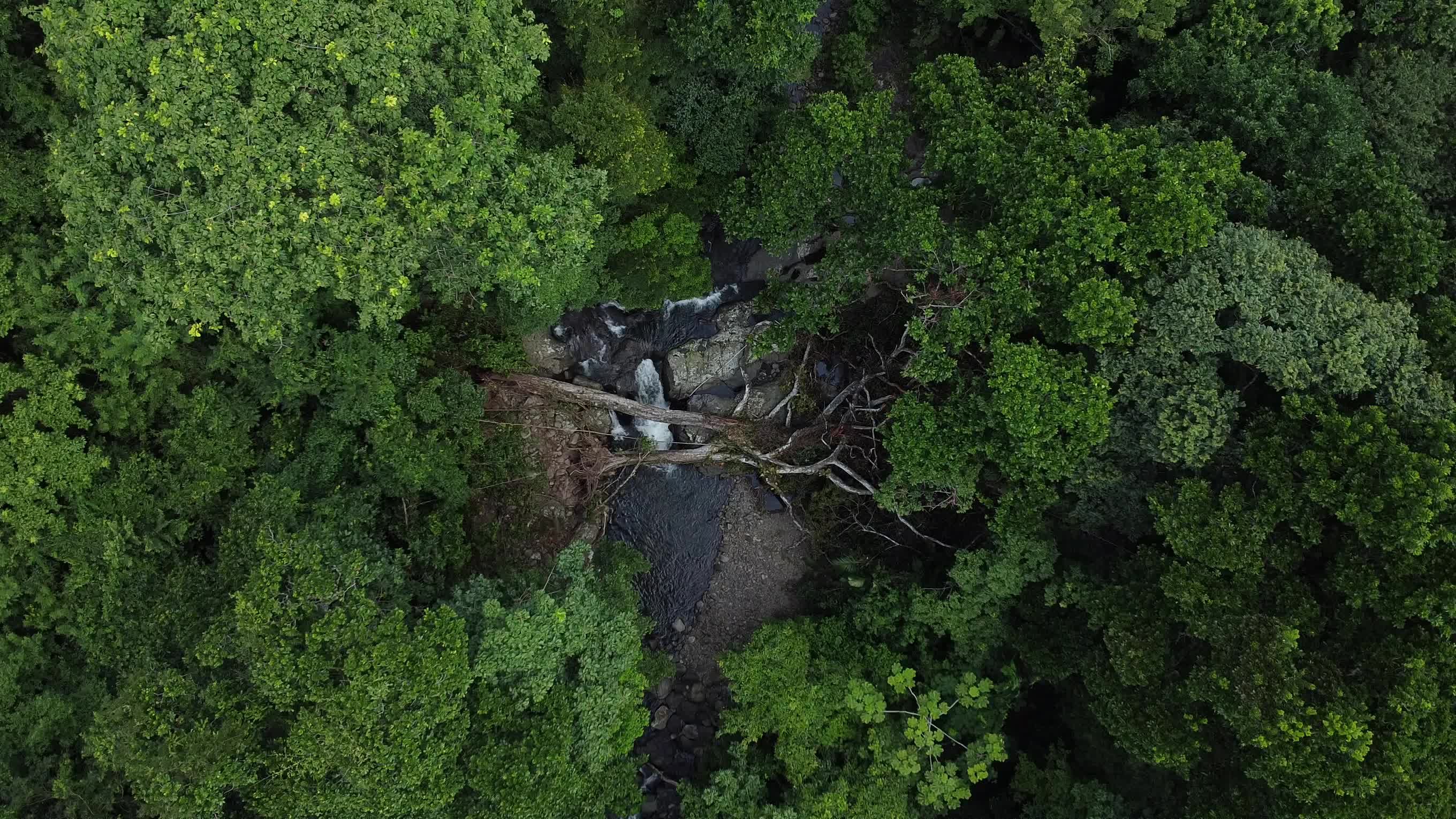 Drone 4k Videos, Download The BEST Free 4k Stock Video Footage & Drone ...