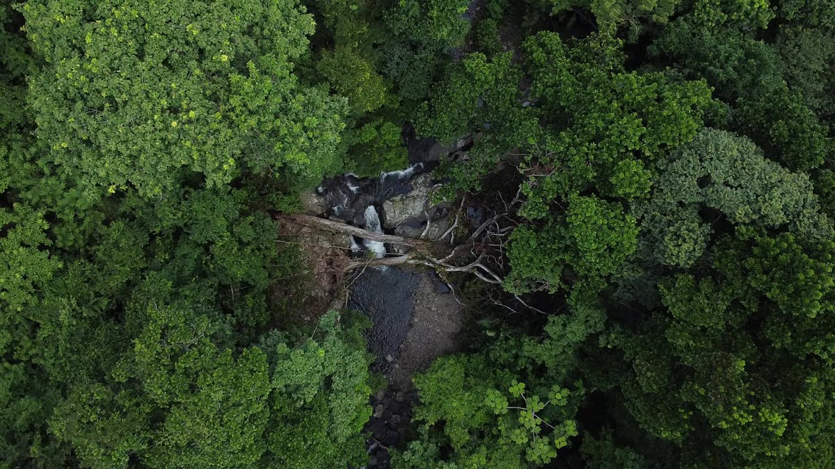 Drone 4k Videos, Download The BEST Free 4k Stock Video Footage & Drone ...