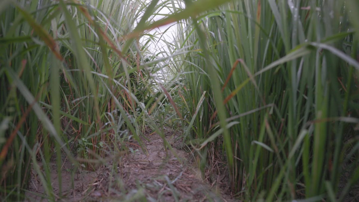 Asthetic Videos, Download The BEST Free 4k Stock Video Footage ...