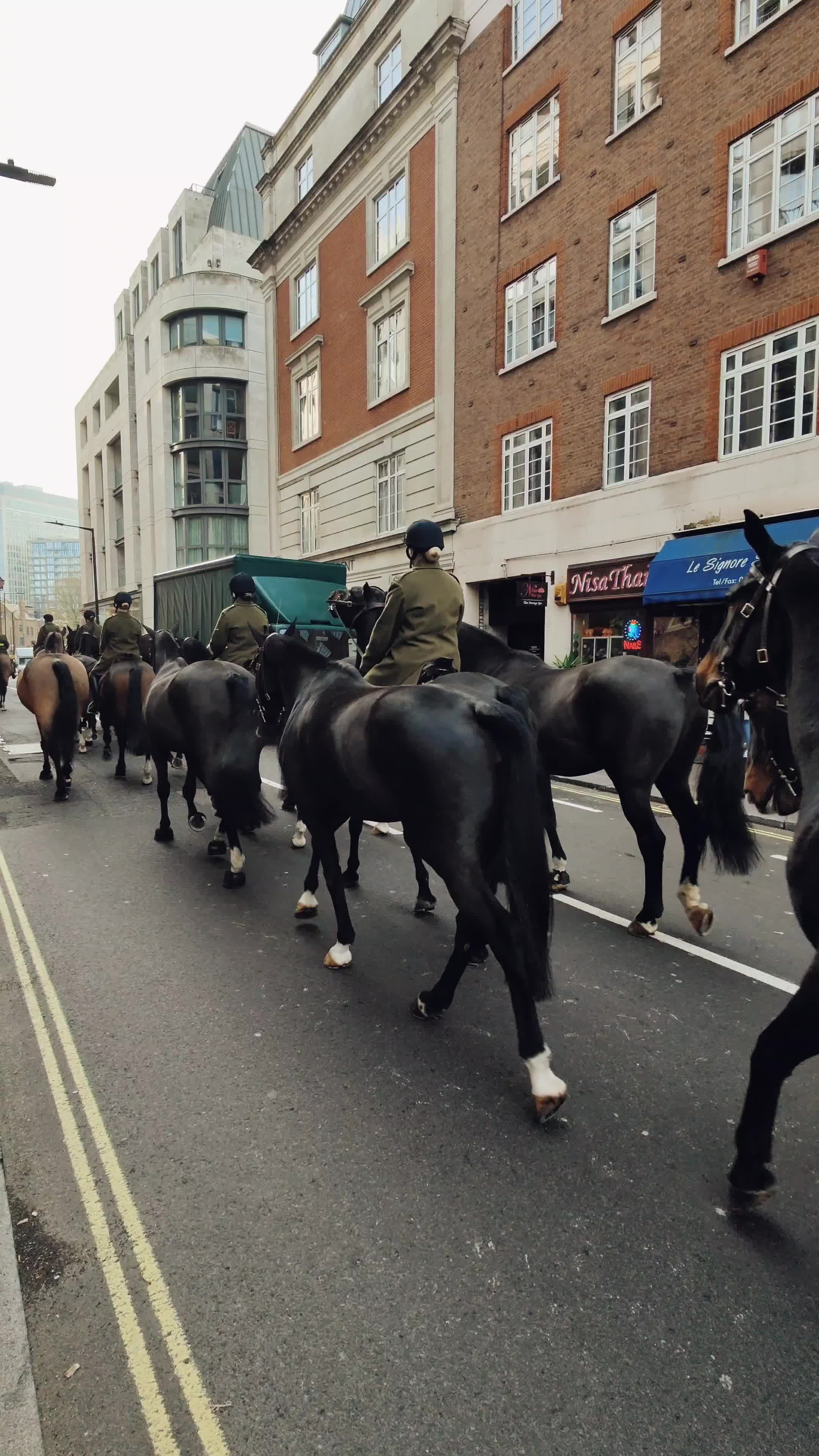 Horseback Riders on London Street Parade Free Stock Video Footage ...