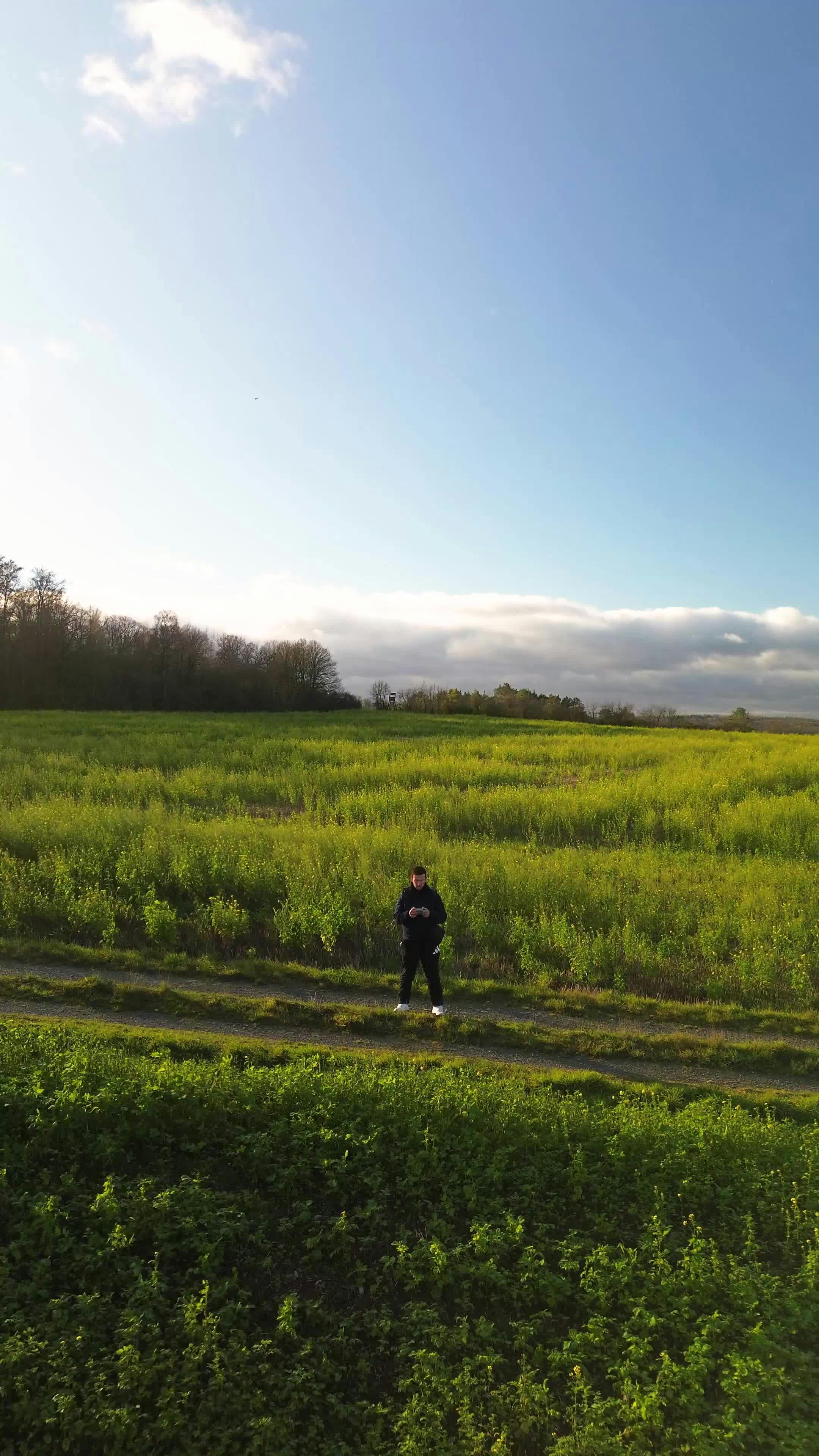 Simbolul Orasului Nds Videos, Download The BEST Free 4k Stock Video ...