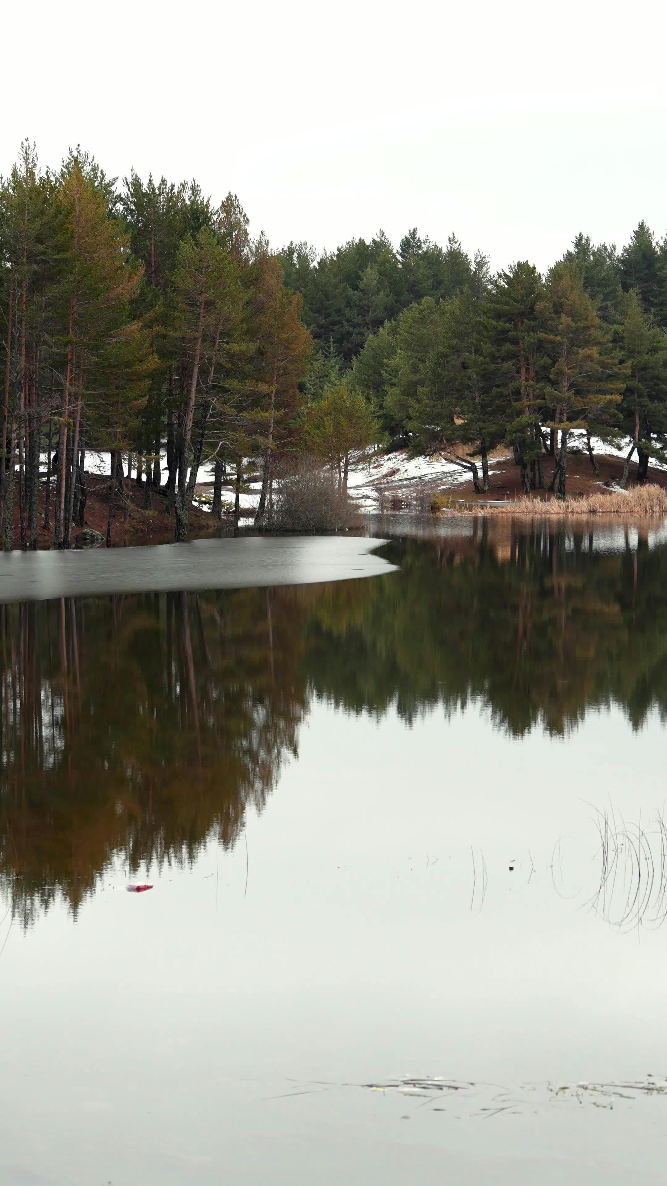 Sending Picture Videos, Download The BEST Free 4k Stock Video Footage ...