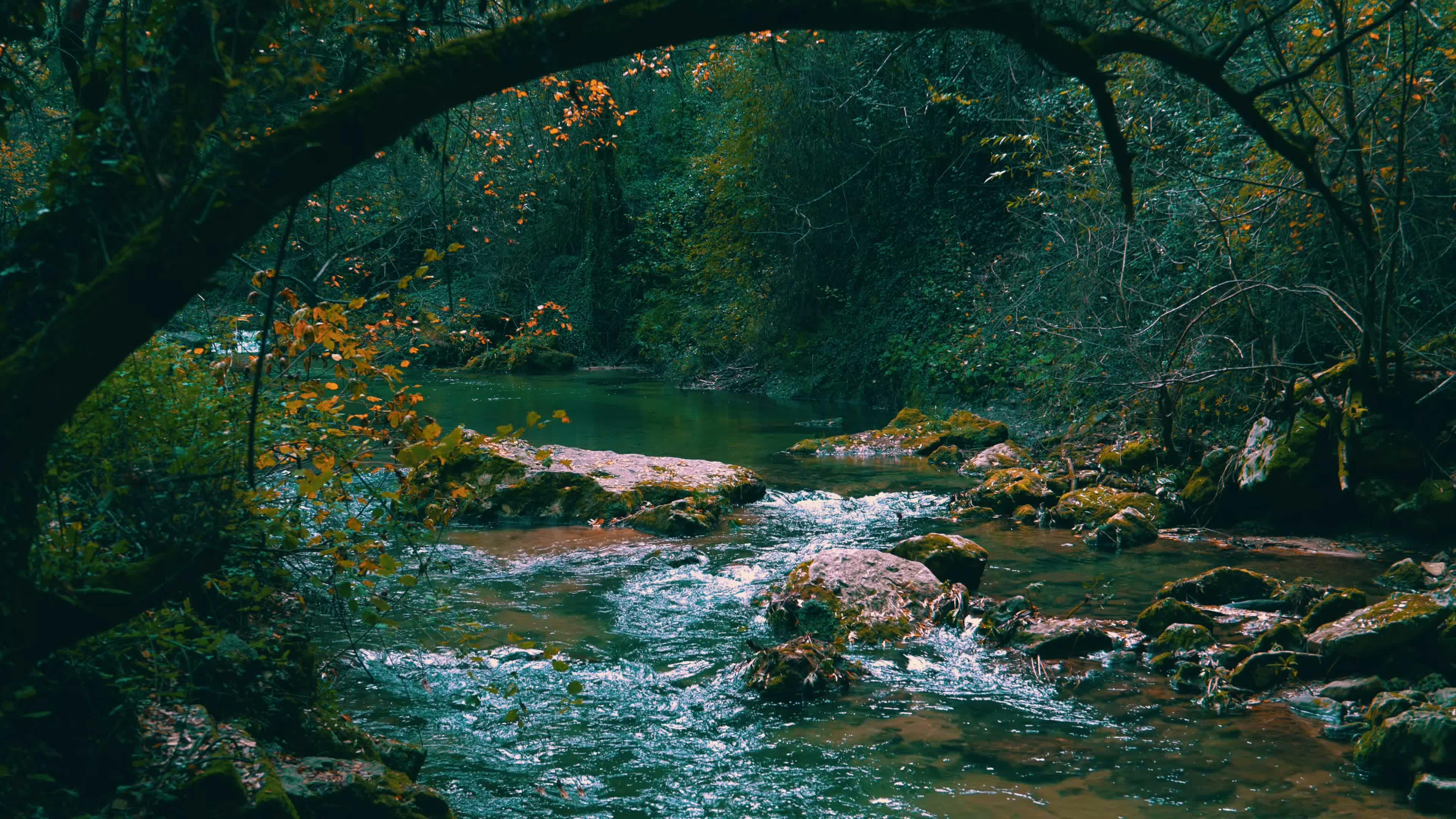 Streamside Kinh Videos, Download The BEST Free 4k Stock Video Footage & Streamside Kinh HD Video ...