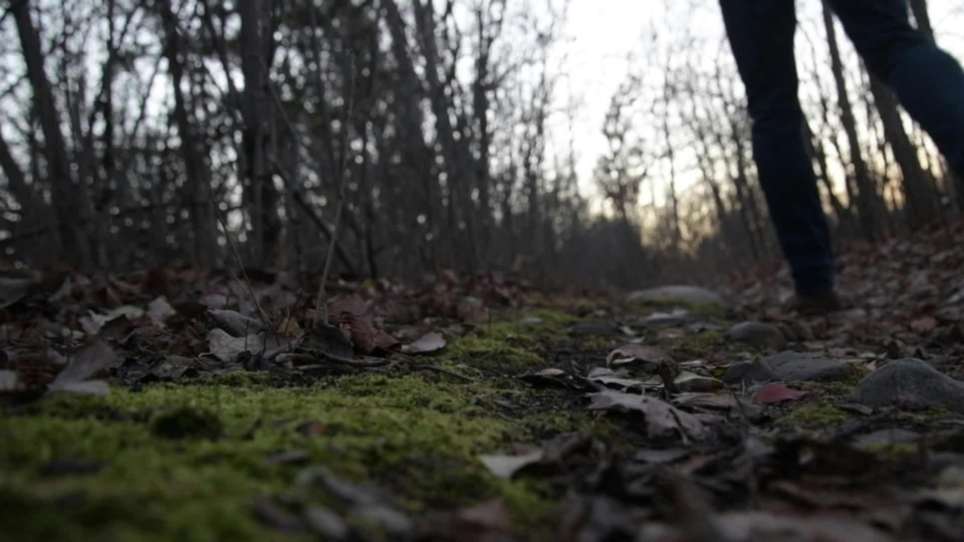 Hintergrundform Sad Videos, Download The BEST Free 4k Stock Video ...