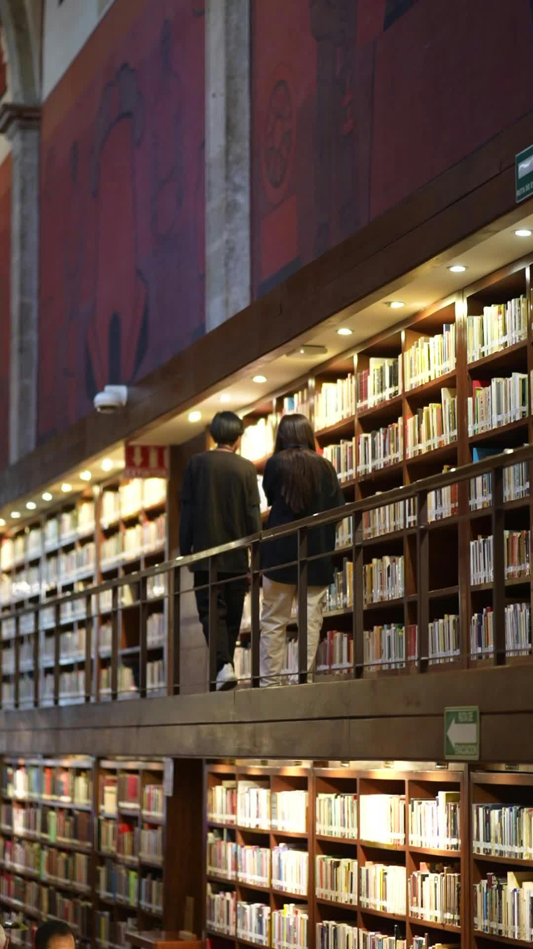 Library Culture Videos, Download The BEST Free 4k Stock Video Footage ...