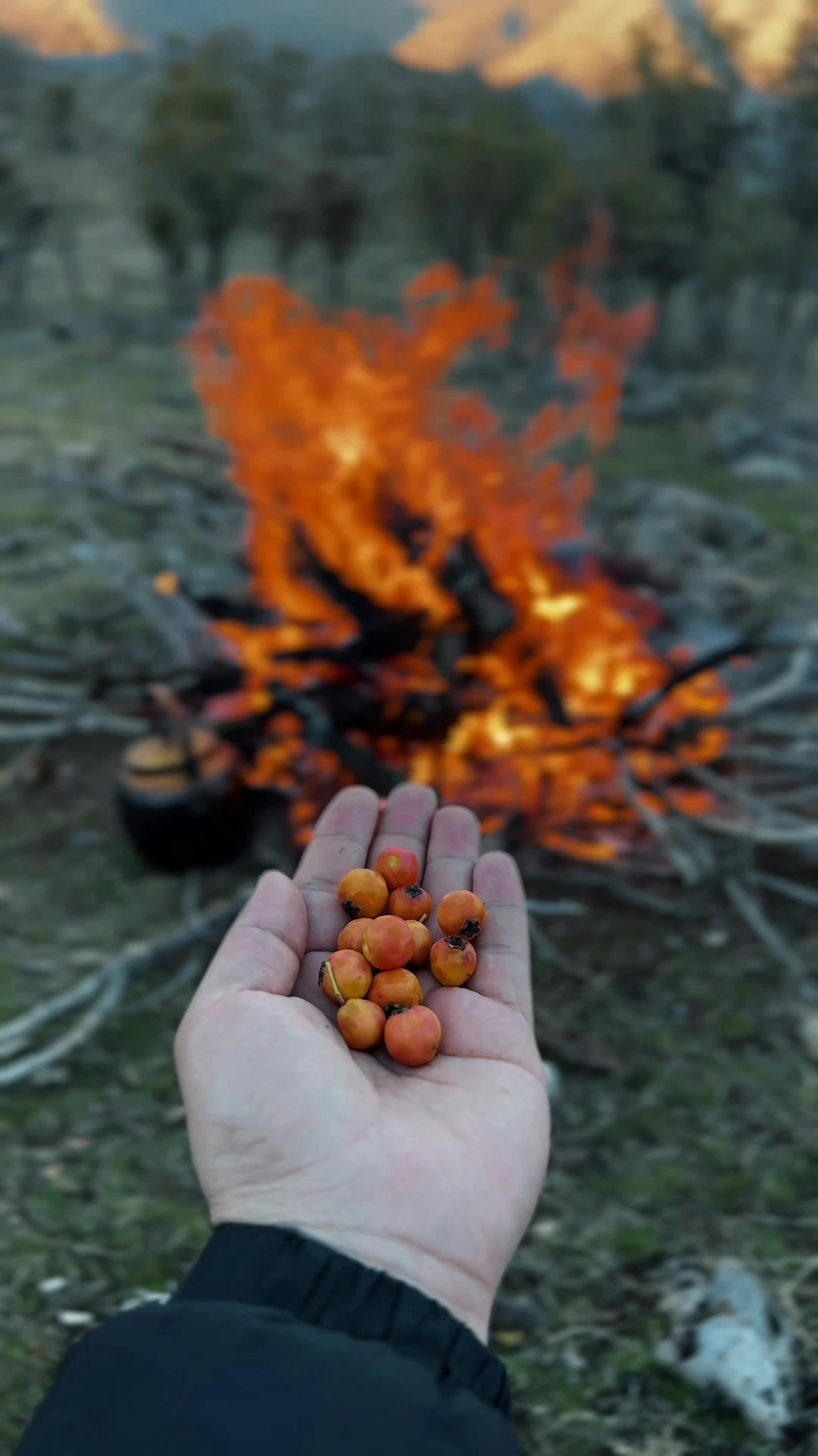 Afternoon Tea Videos, Download The BEST Free 4k Stock Video Footage ...