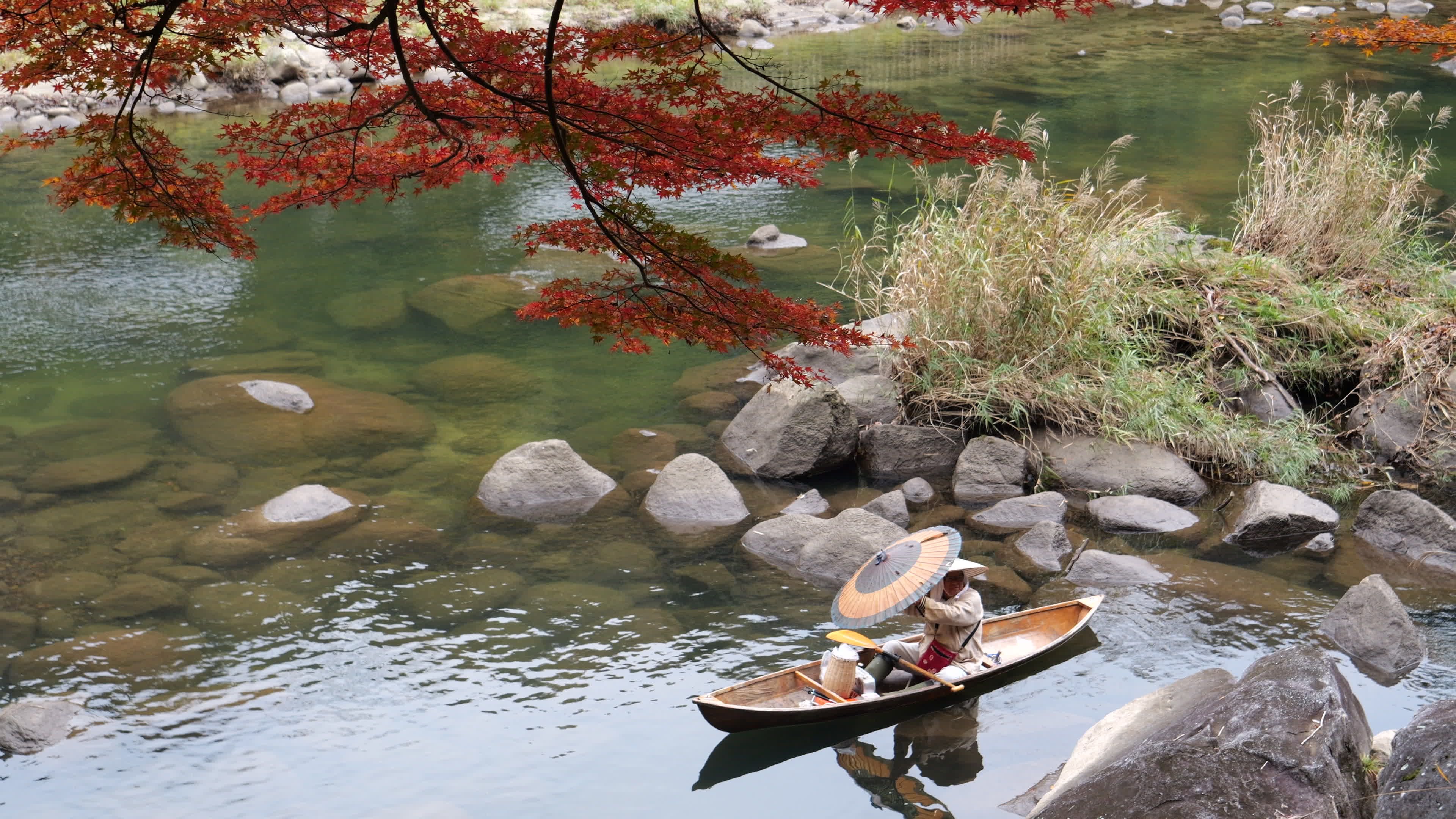 Scenic Autumn River Canoe Ride in Japan Free Stock Video Footage ...