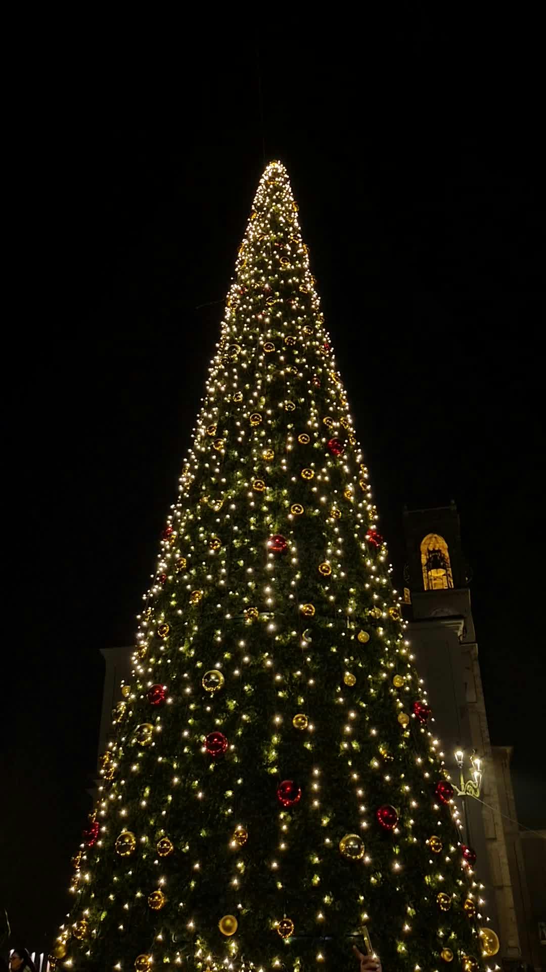 Christmas Videos Videos, Download The BEST Free 4k Stock Video Footage ...