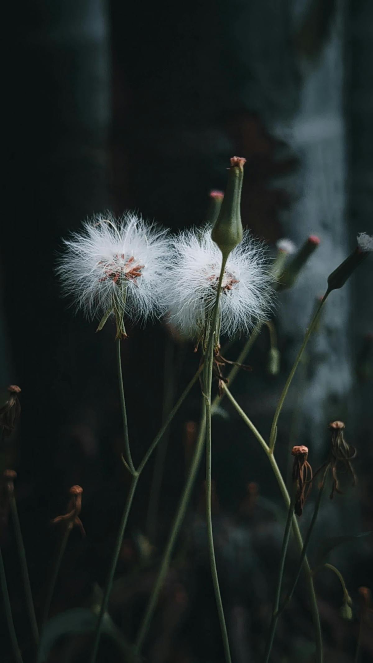 Sunset Aesthetic Videos, Download The BEST Free 4k Stock Video Footage ...