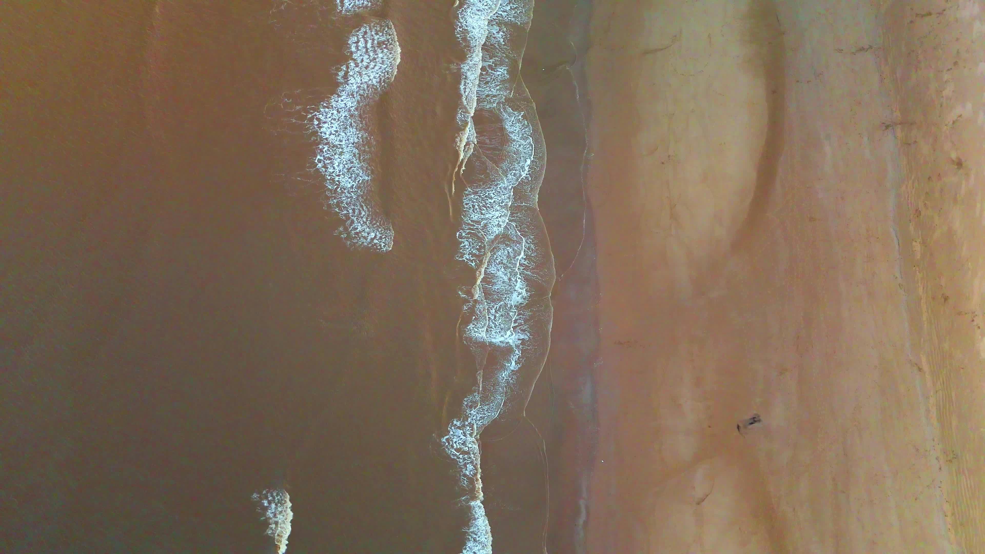 Cogumelo Surf Videos, Download The BEST Free 4k Stock Video Footage ...