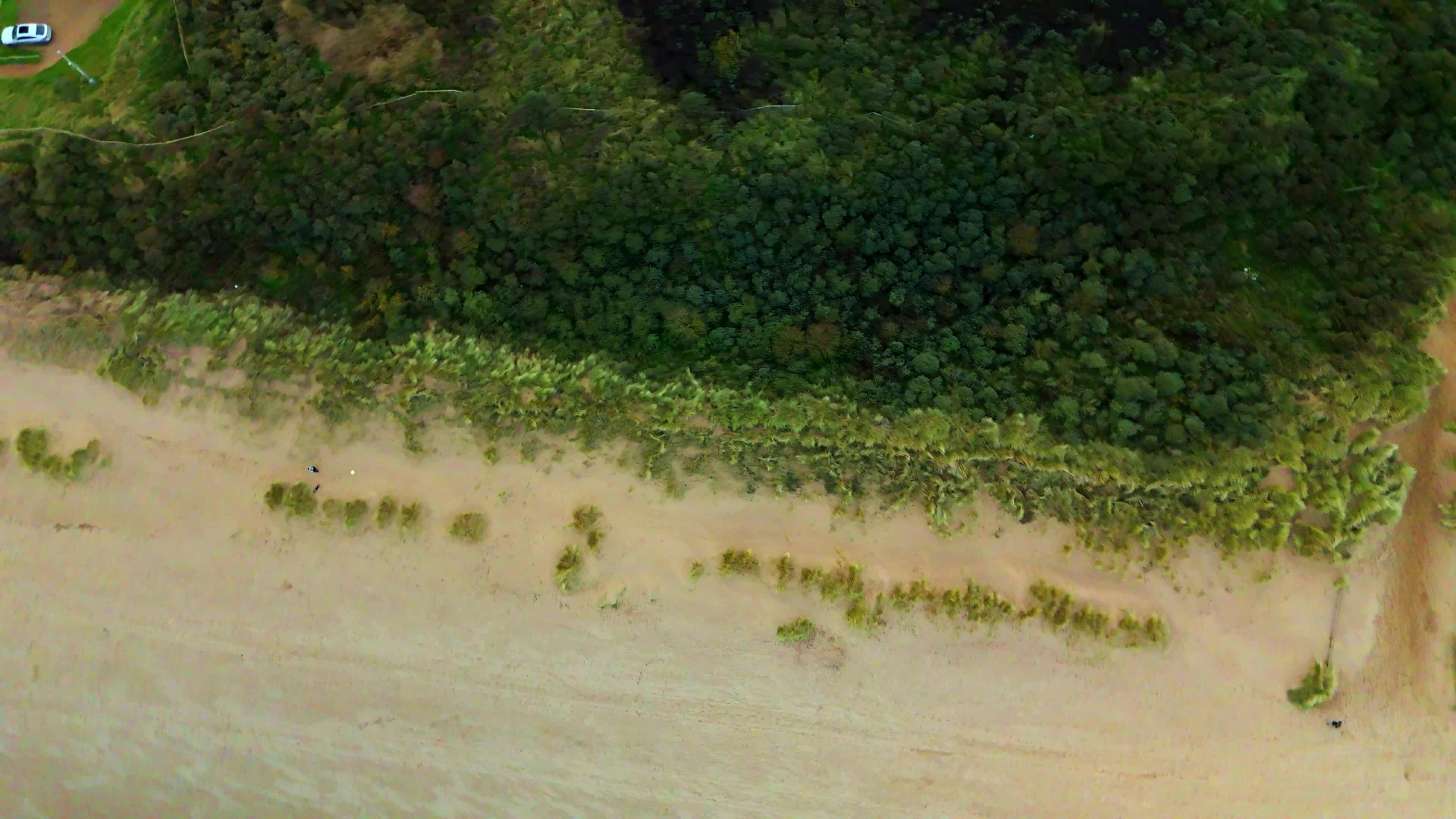Aerial View of Lush Green Forest and Sandy Beach Free Stock Video ...