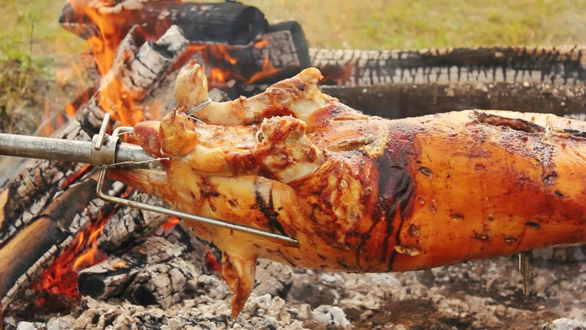Deliciously Rotating Roast Pig on Spit Free Stock Video Footage ...