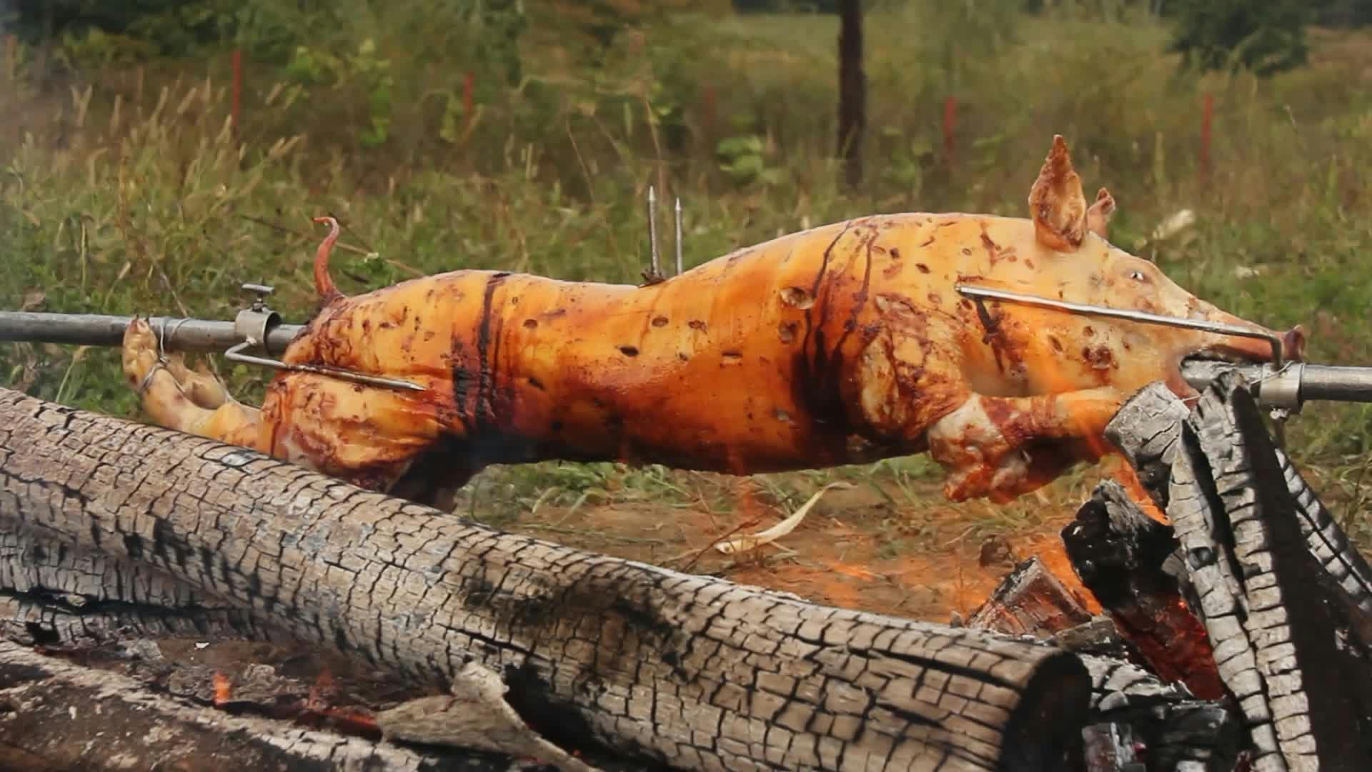 Deliciously Rotating Roast Pig on Spit Free Stock Video Footage ...