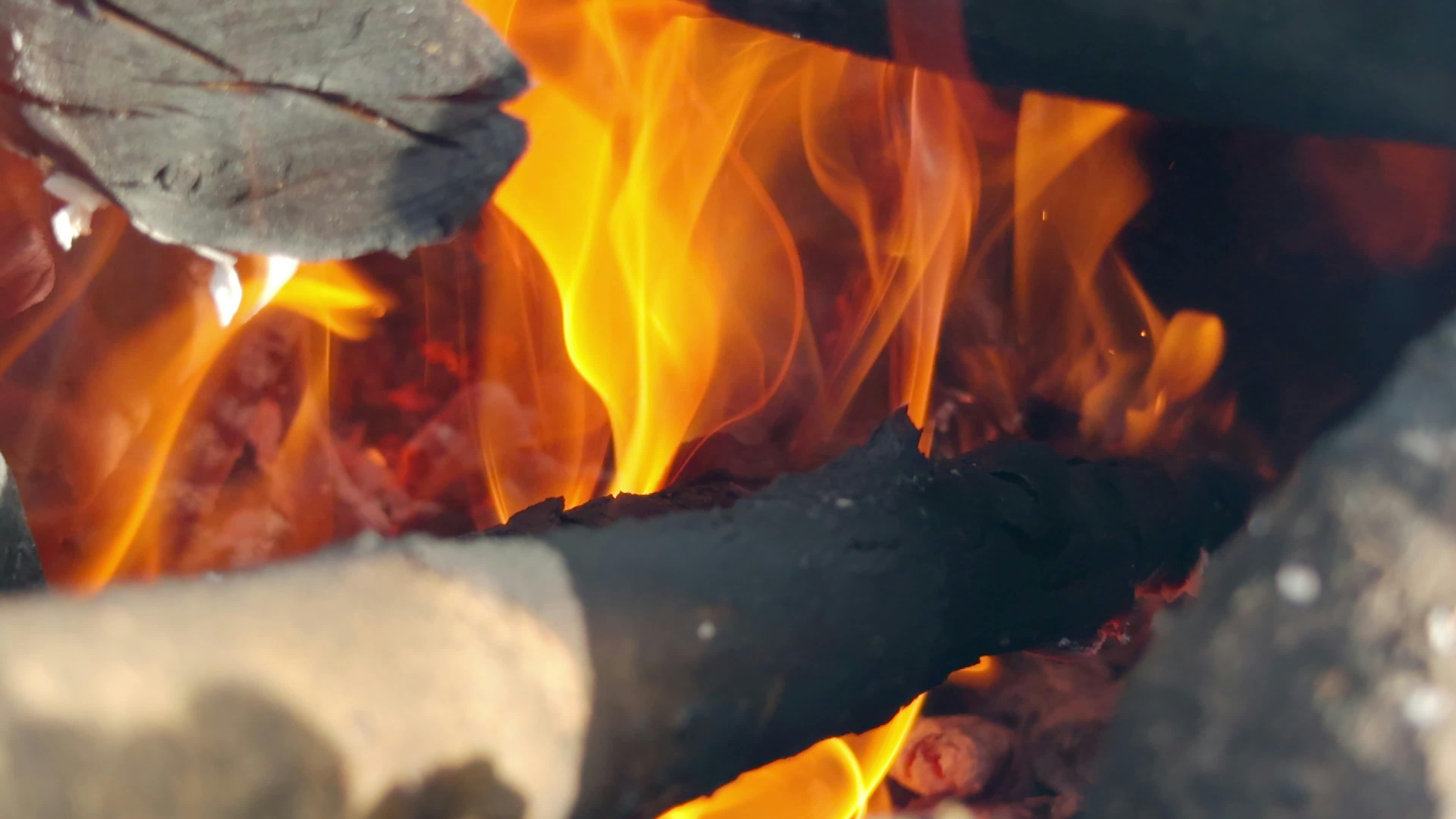 Forest Burning Videos, Download The BEST Free 4k Stock Video Footage ...