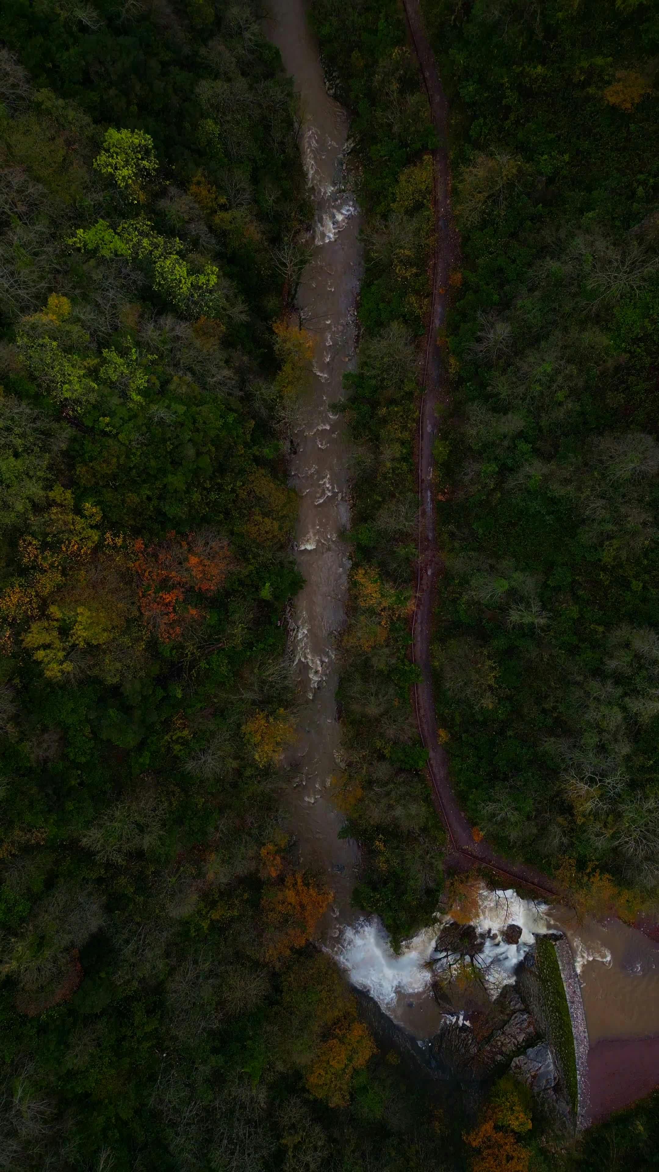 Jungle Exploration Videos, Download The BEST Free 4k Stock Video ...