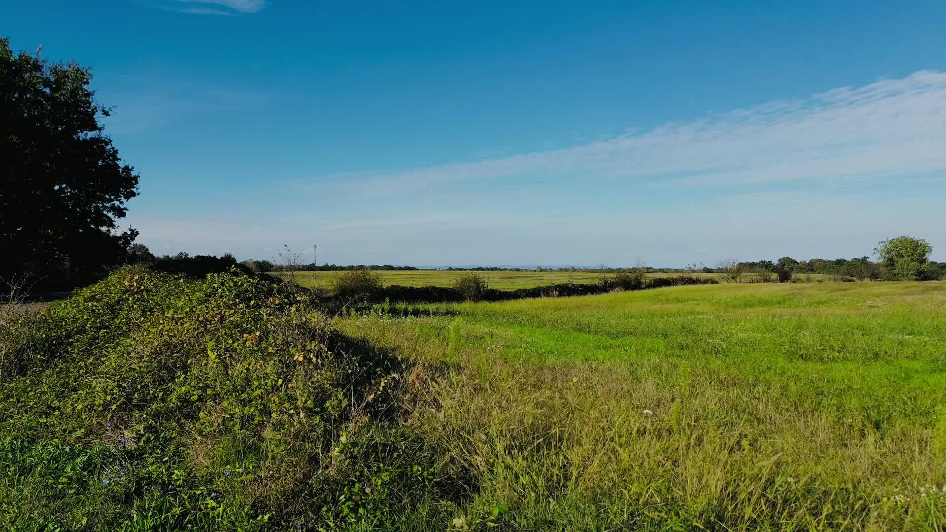 Ferramenta Visual Videos, Download The BEST Free 4k Stock Video Footage ...