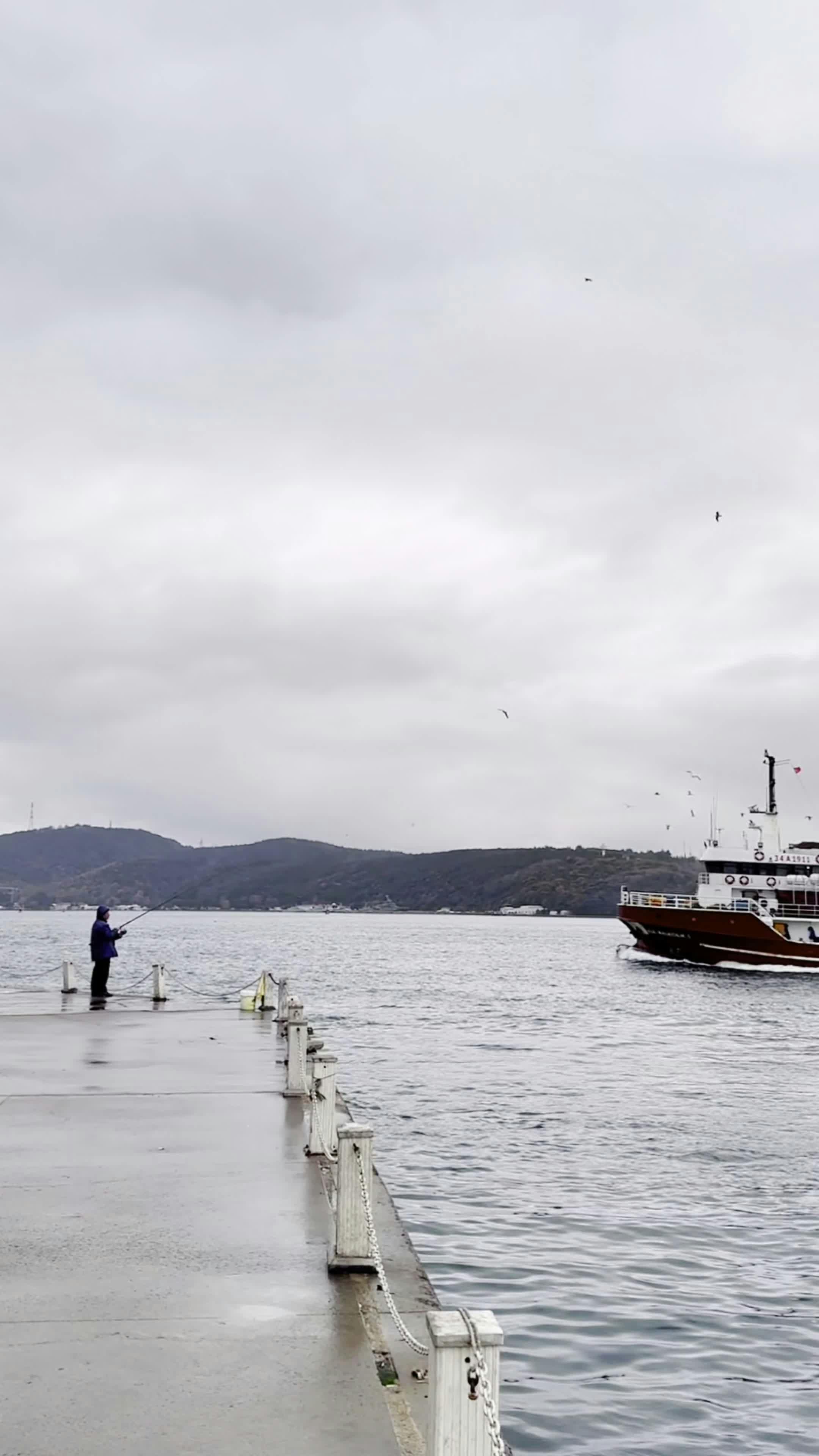 Dockside View of Passing Cargo Ship Free Stock Video Footage, Royalty ...