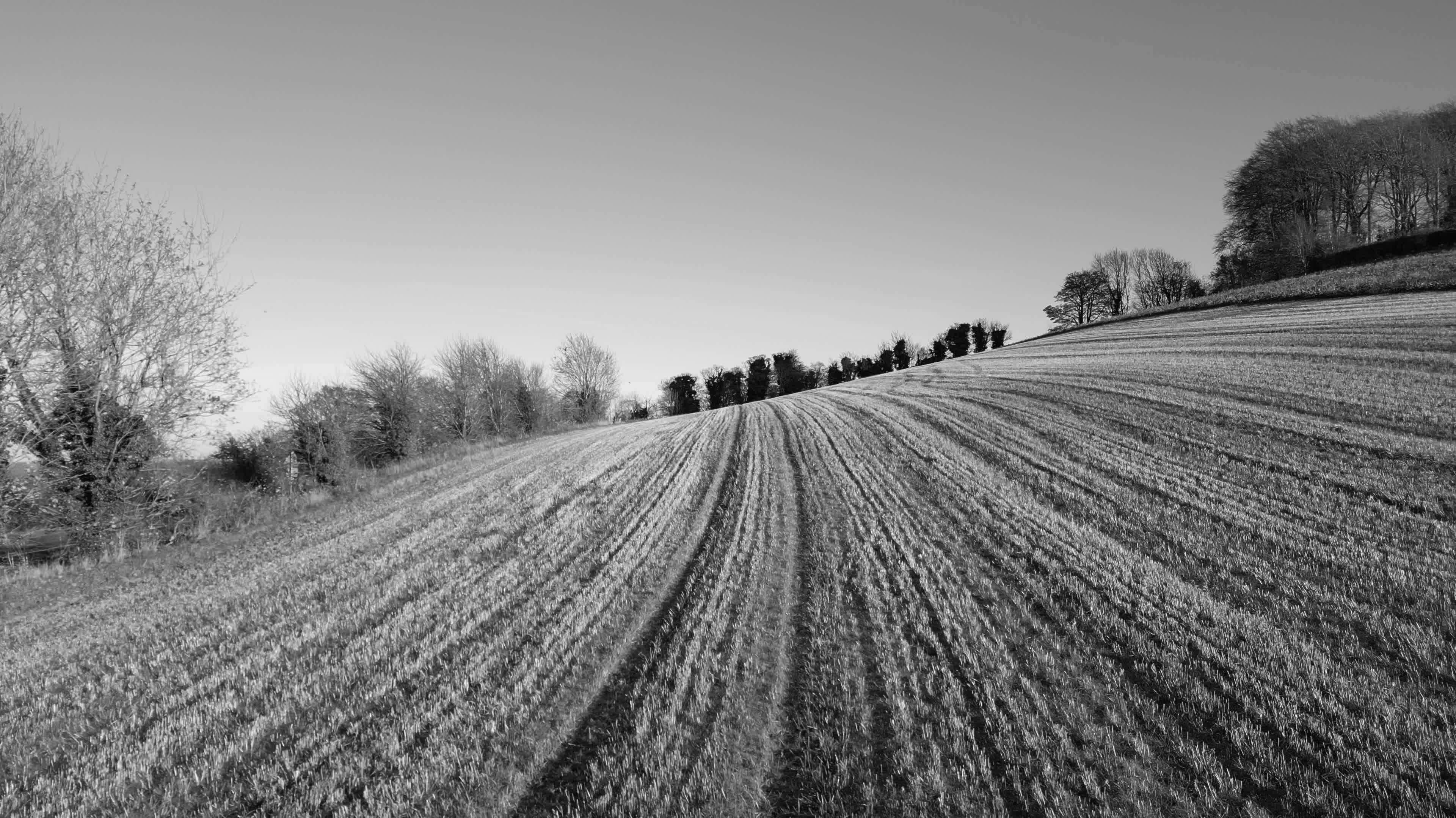 Limelight Grayscale Videos, Download The BEST Free 4k Stock Video ...