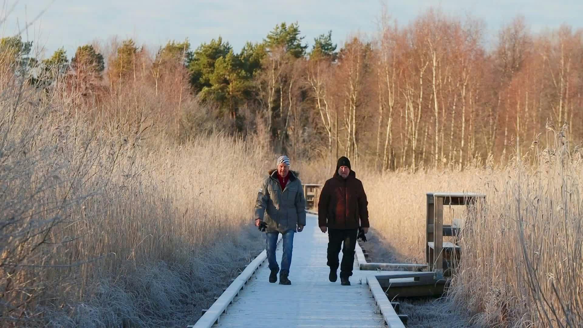 4k Wallpaperhockey Videos, Download The BEST Free 4k Stock Video ...