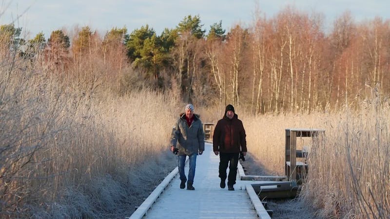 Pixabay Video Videos, Download The BEST Free 4k Stock Video Footage ...