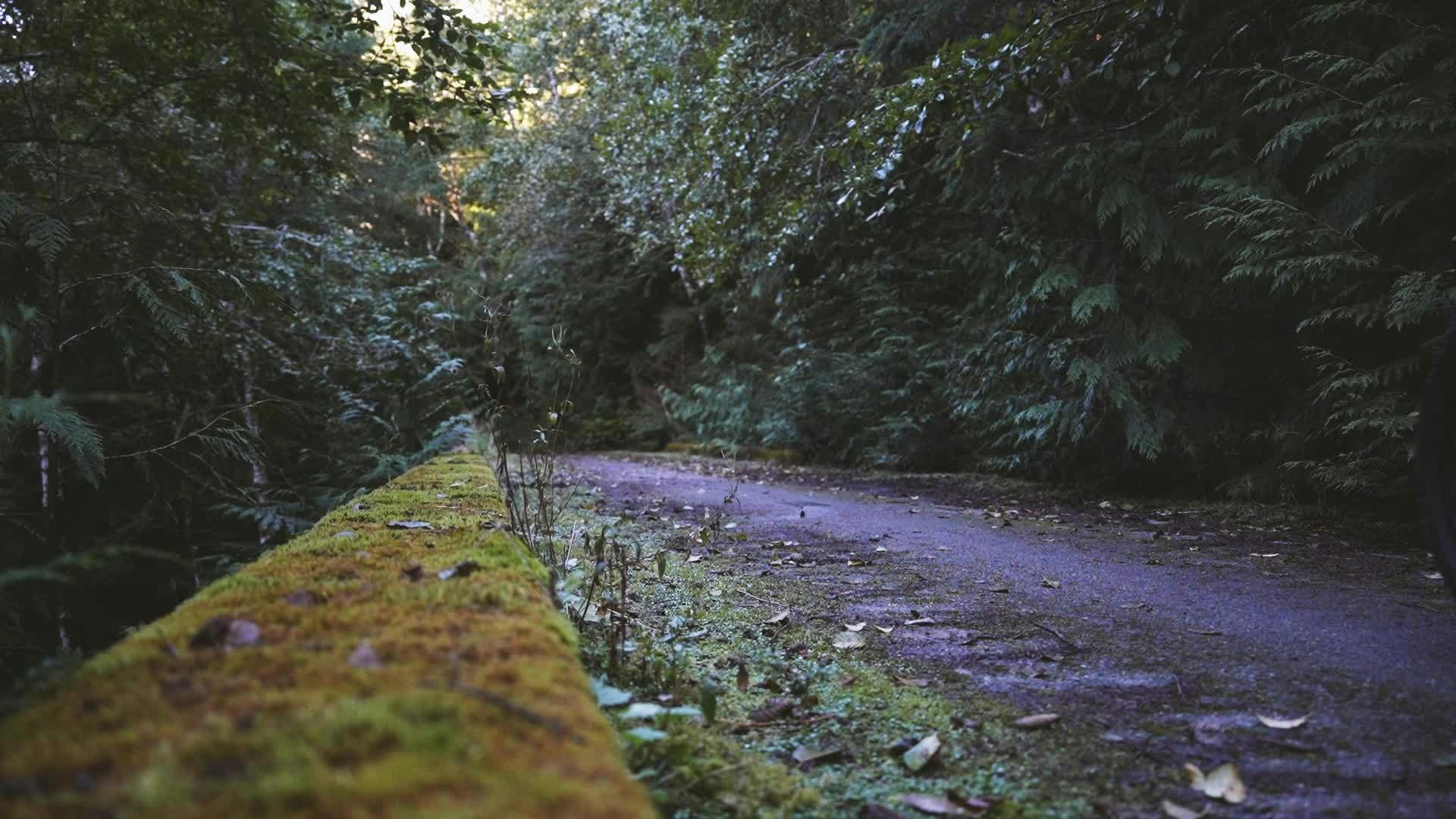 Ppt Dark Videos, Download The BEST Free 4k Stock Video Footage & Ppt ...