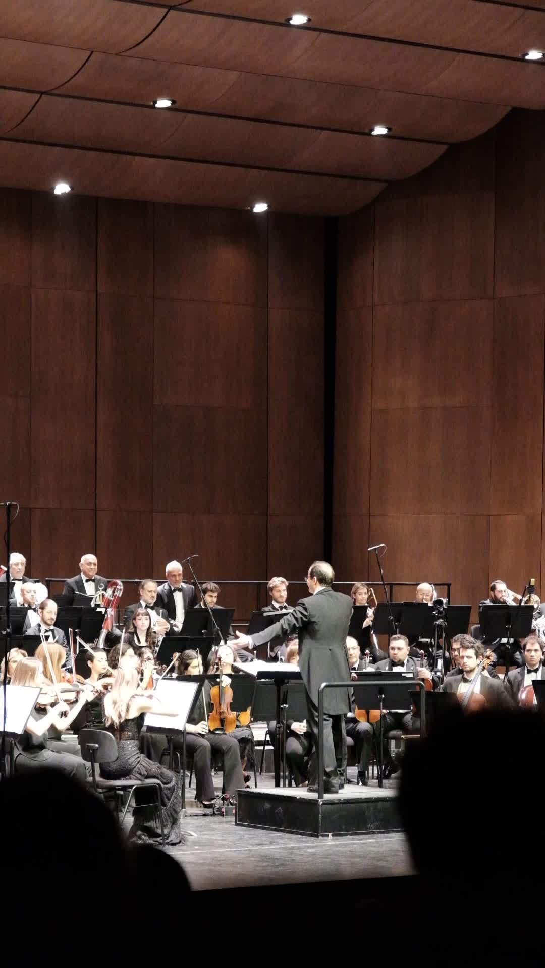 Symphony Orchestra Performance on Stage Free Stock Video Footage ...