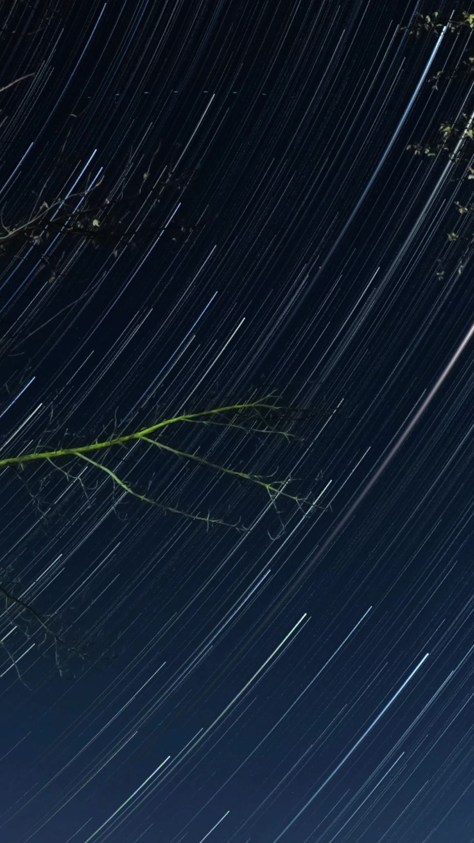 Captivating Night Sky Timelapse With Star Trails Free Stock Video
