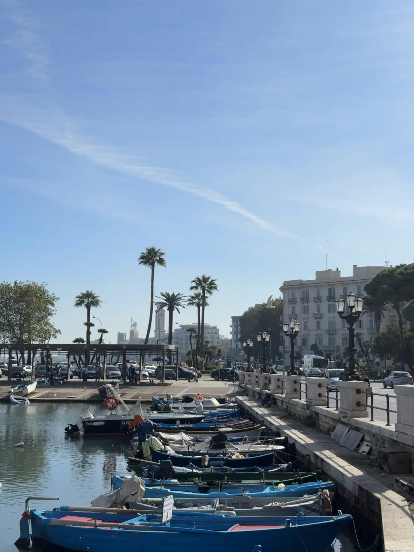 Bari Ornatmental Videos, Download The BEST Free 4k Stock Video Footage ...