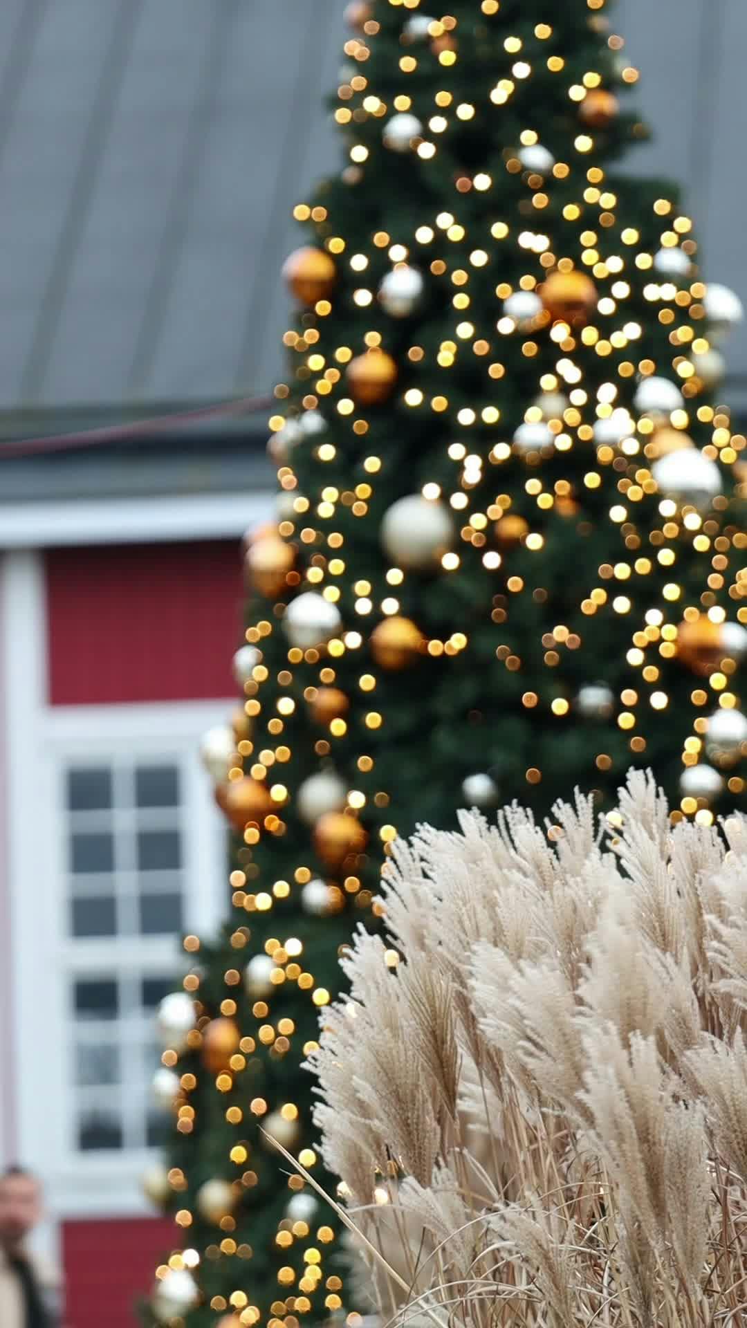 4k Wallpaperwagakkiband Videos, Download The BEST Free 4k Stock Video ...