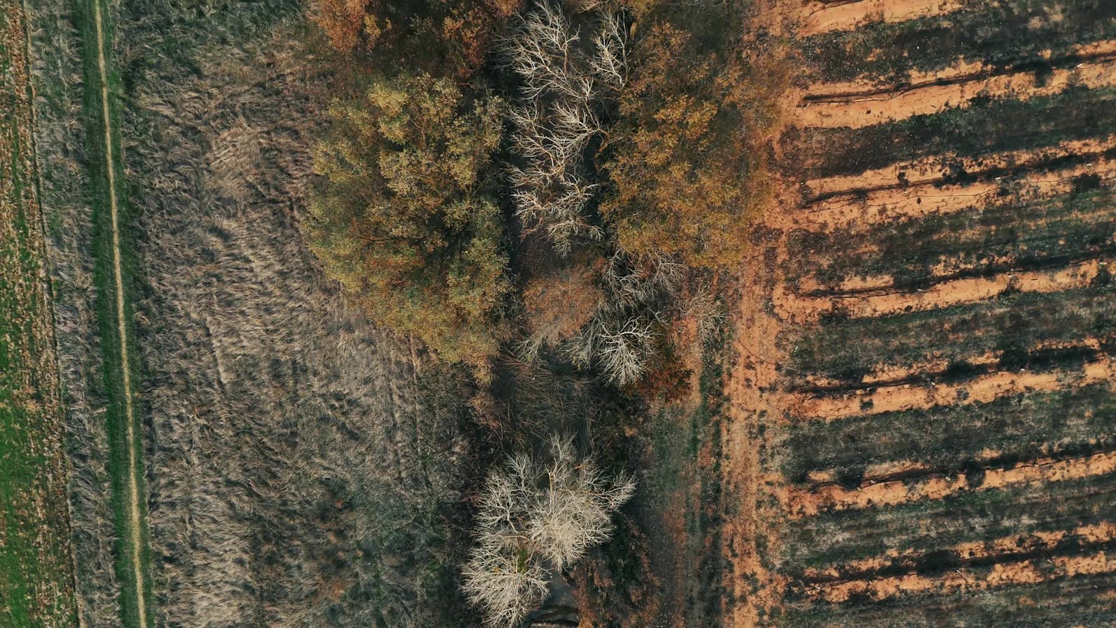 Land Chut Videos, Download The BEST Free 4k Stock Video Footage & Land ...