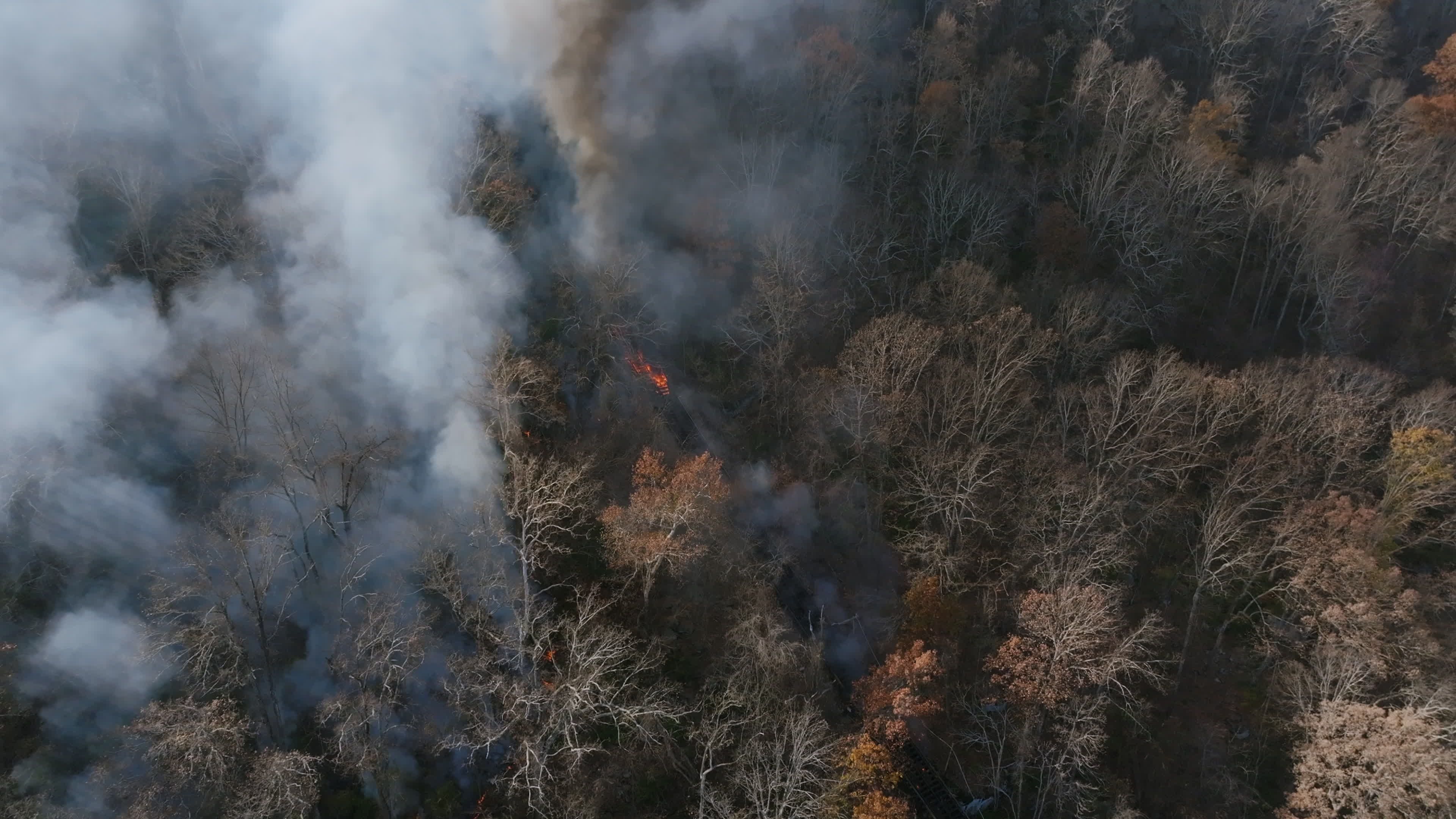 Aerial View of Forest Fire in Autumn Woods Free Stock Video Footage ...