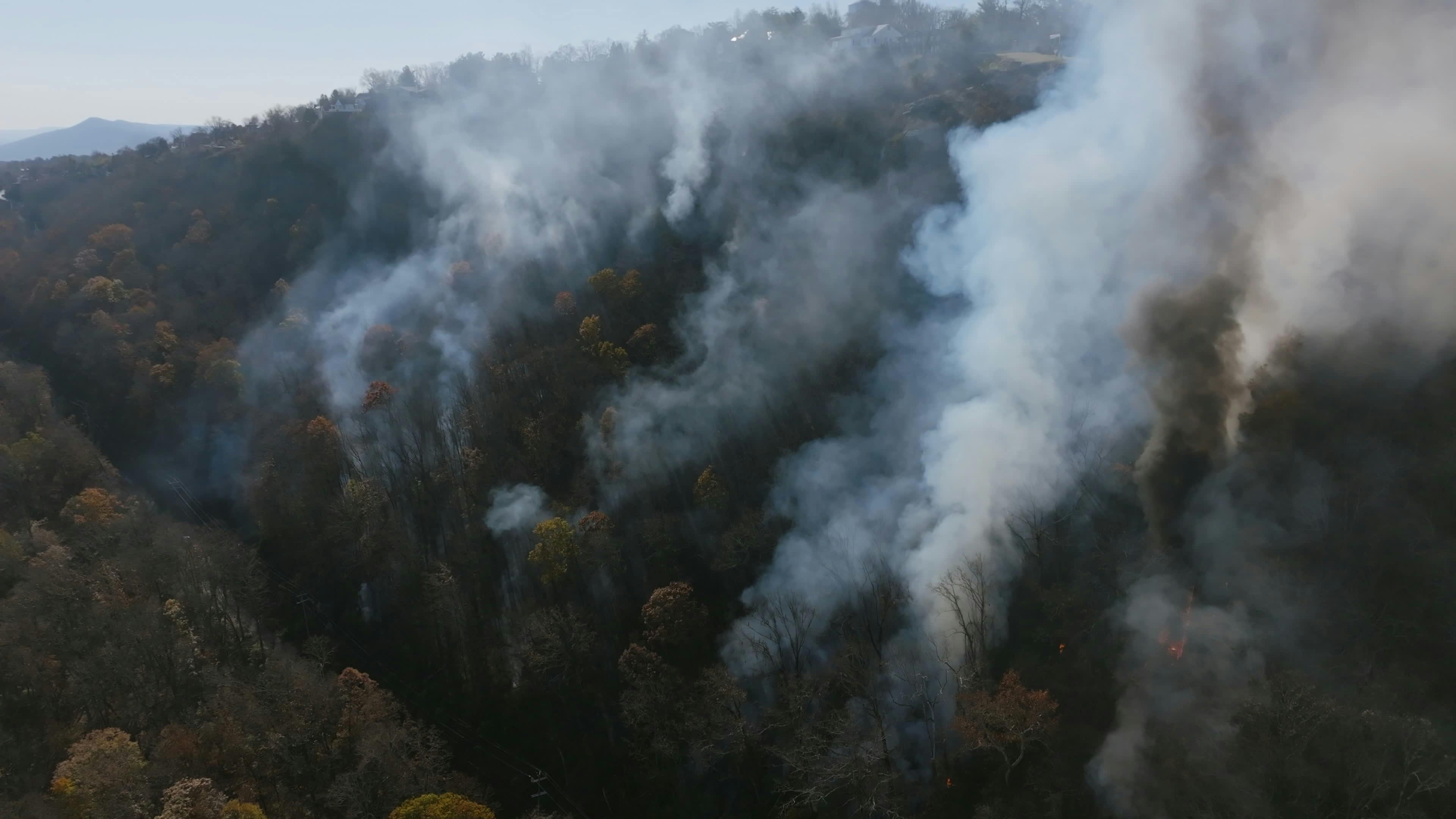 Forest Fire Smoke Rising Over Tree Canopy Free Stock Video Footage ...