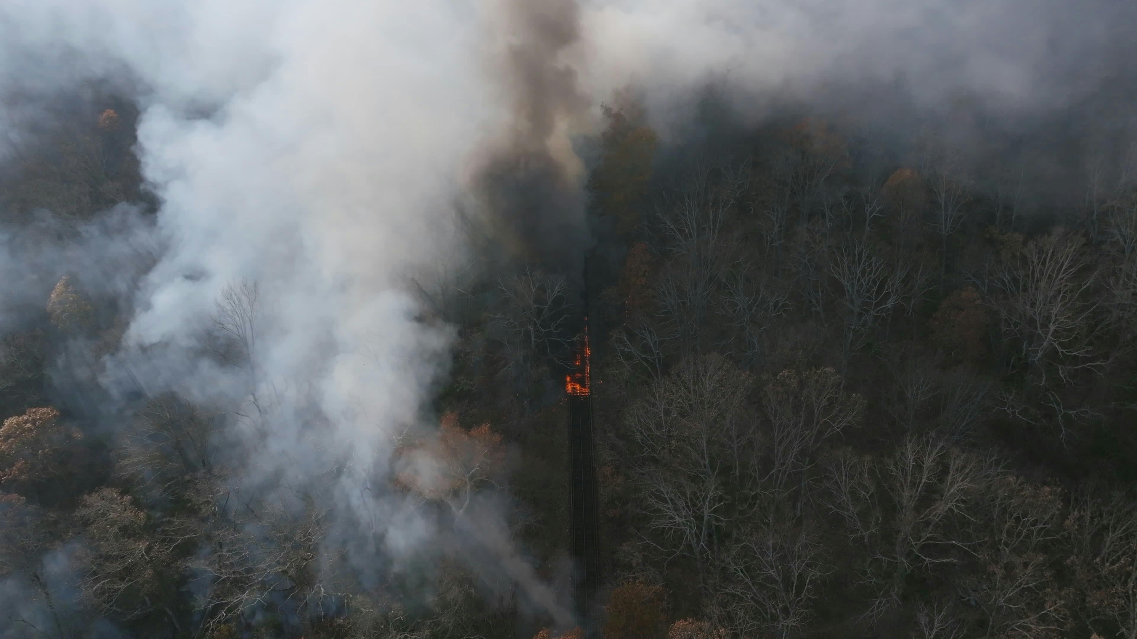 Aerial View of Forest Fire with Heavy Smoke Free Stock Video Footage ...