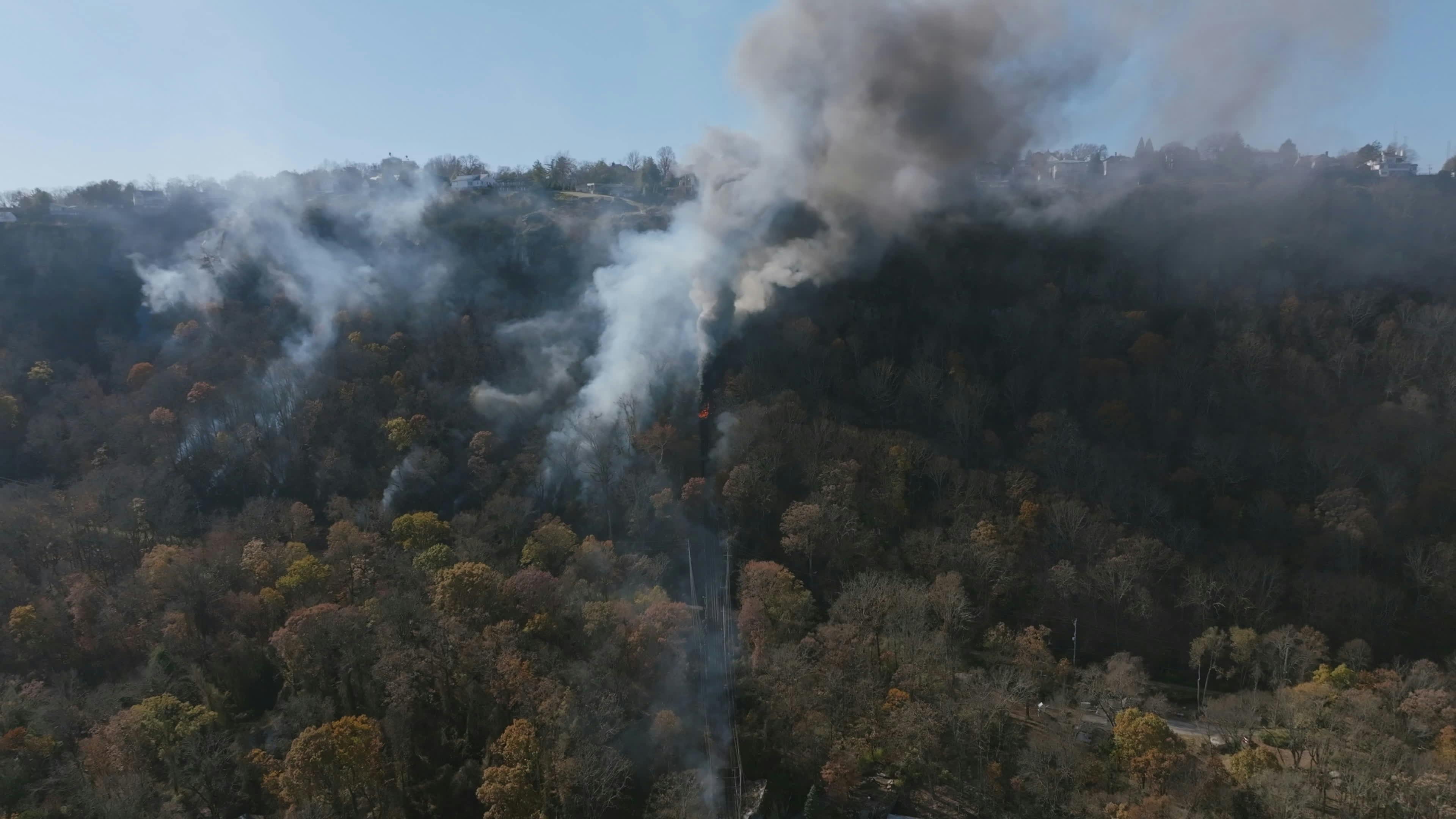 Effects Of Deforestation Videos, Download The BEST Free 4k Stock Video ...