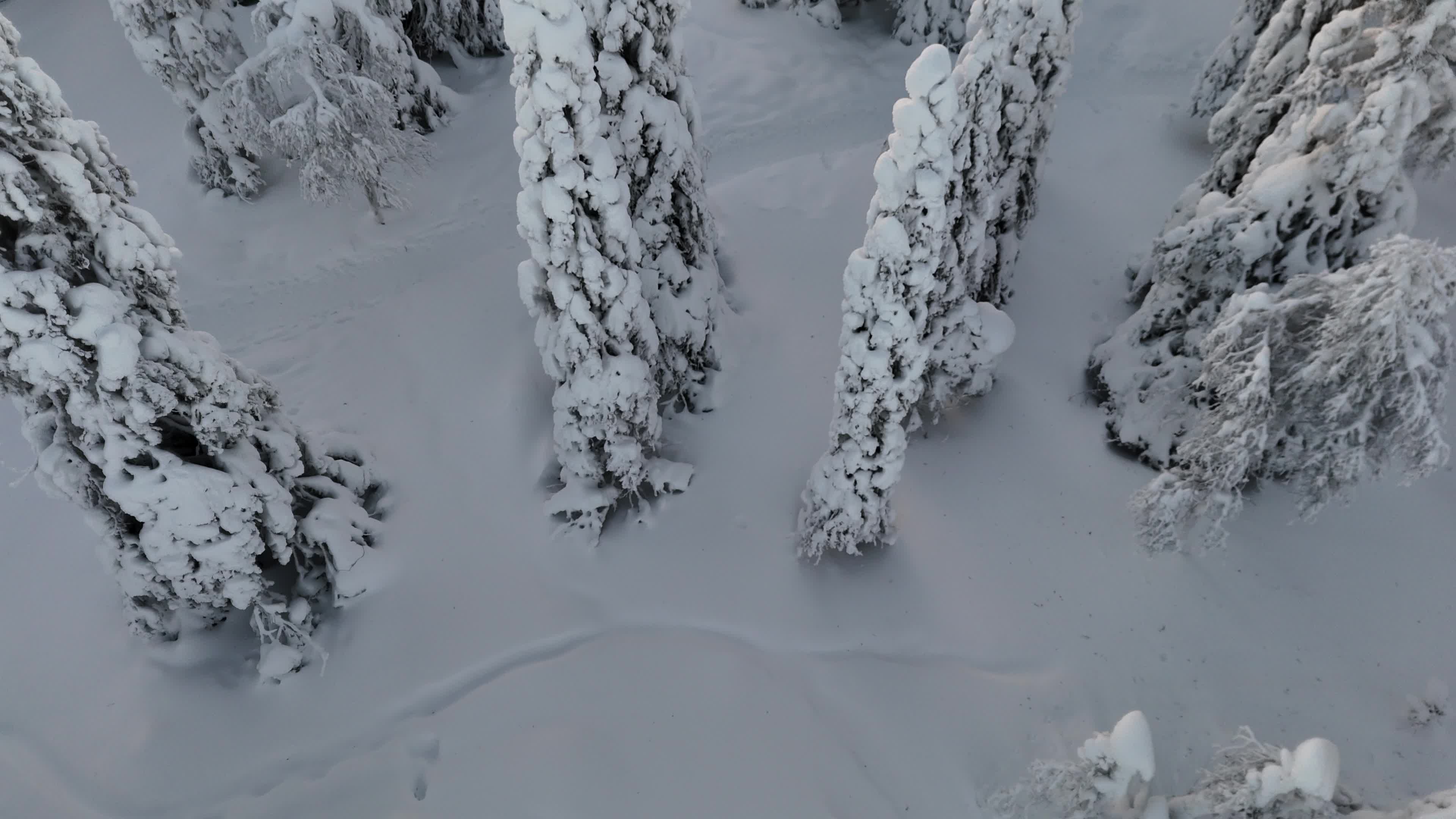 Stunning Aerial View of Snowy Finnish Forest Free Stock Video Footage ...
