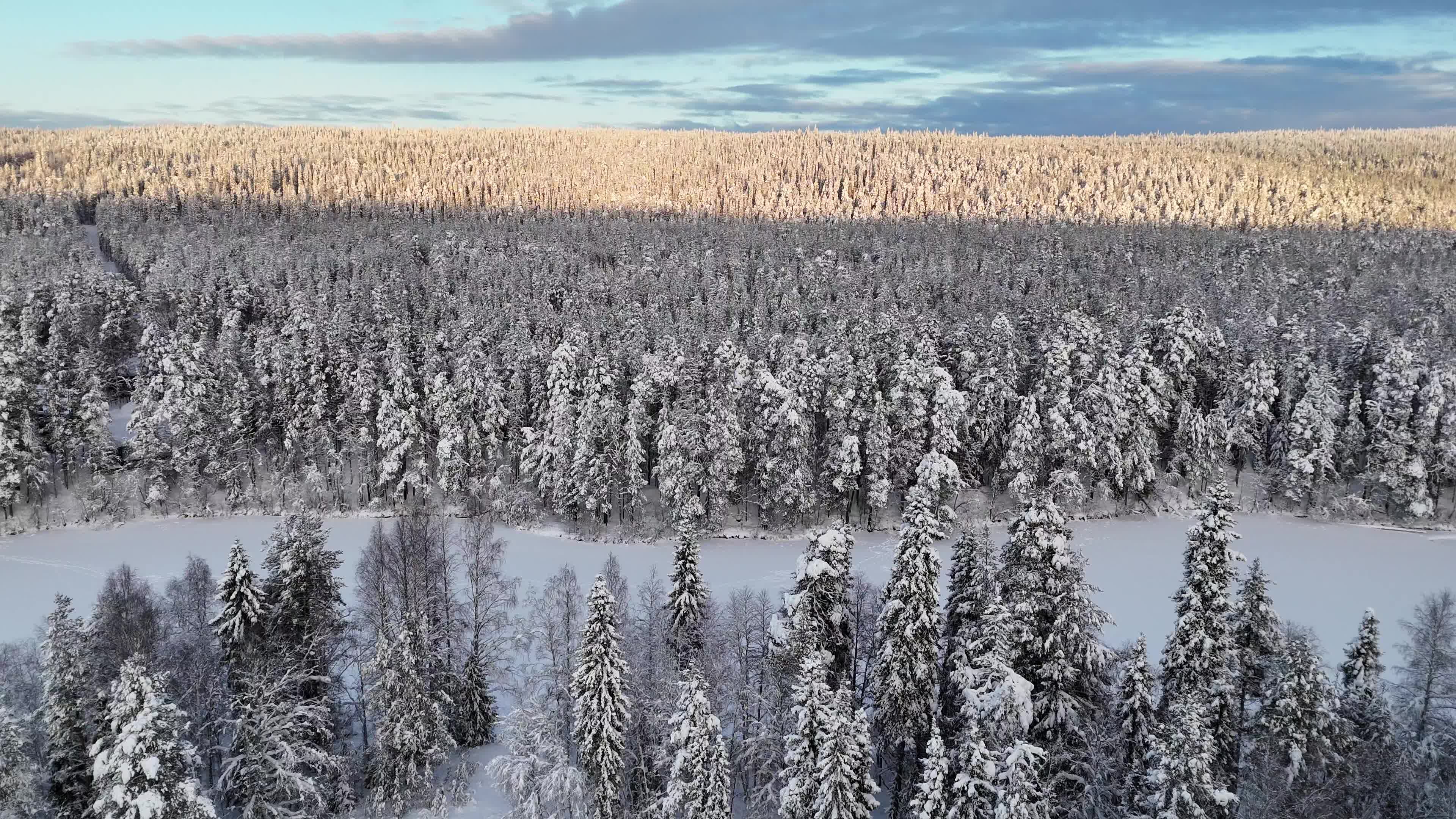 Stunning Aerial View of Snowy Winter Forest Free Stock Video Footage ...