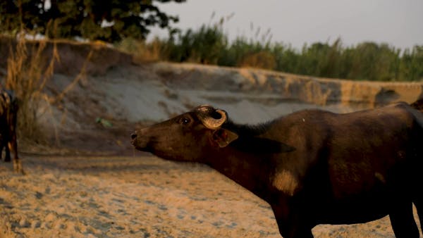 Xfree+Video Videos, Download The BEST Free 4k Stock Video Footage ...