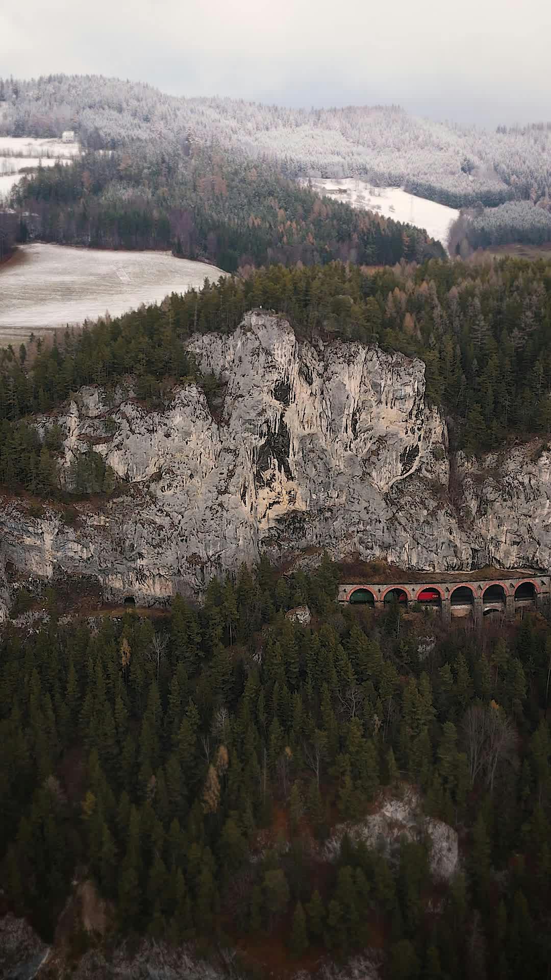 2 171+ Vidéos De Livley wallpaper Libre de Droit, Clips Vidéo de Livley ...