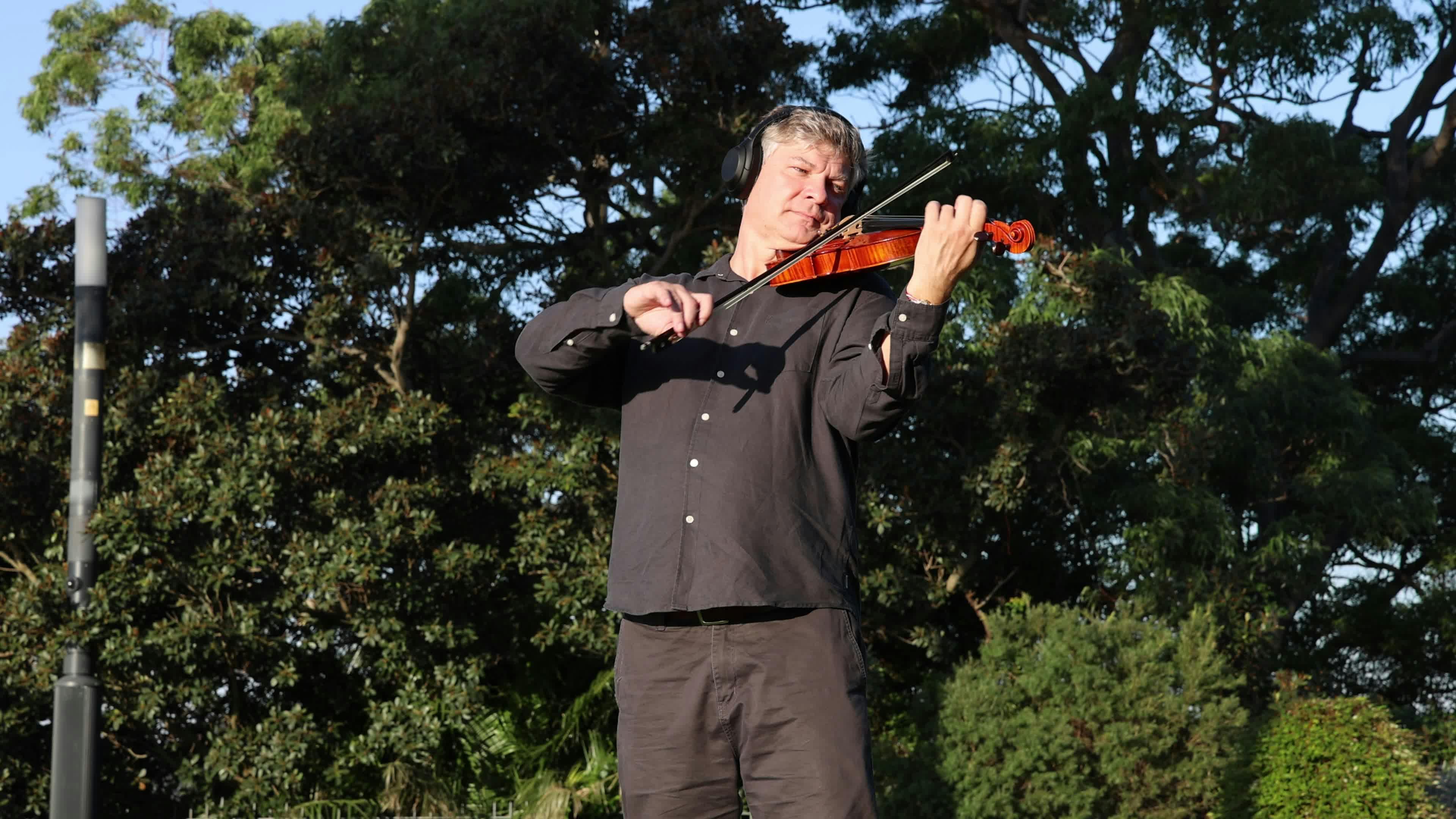 Brahmin String Videos, Download The BEST Free 4k Stock Video Footage ...