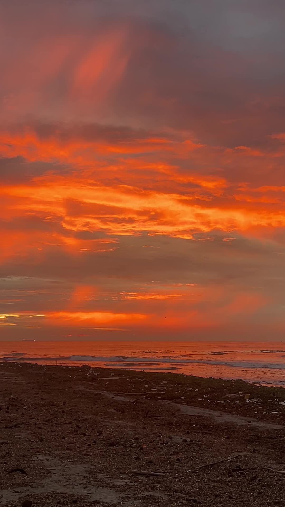 Serene Beach Sunset with Silhouetted Figures Free Stock Video Footage ...